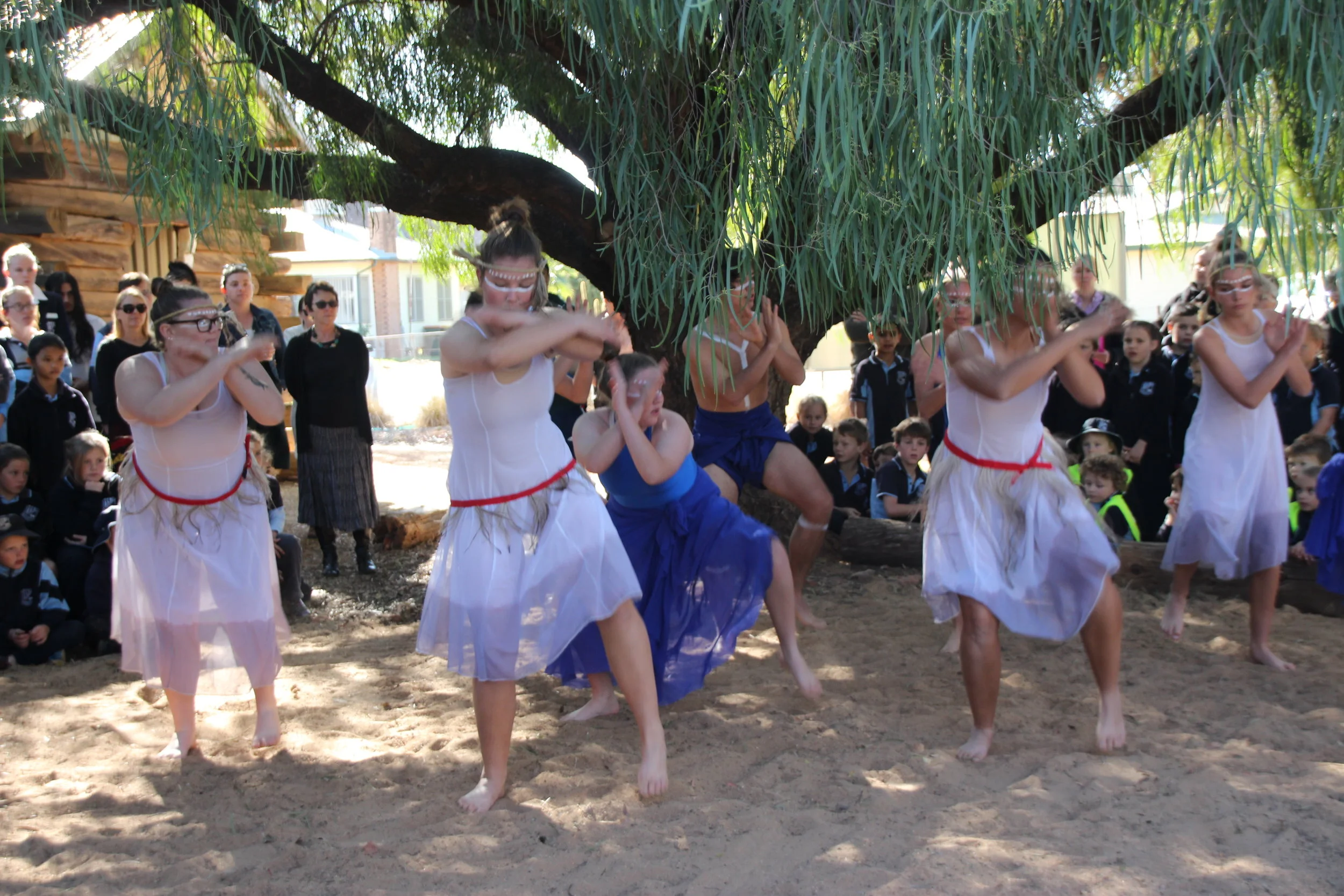 Trangie LALC Contact Us — Trangie Local Aboriginal Land Council & Wungunja Cultural Centre