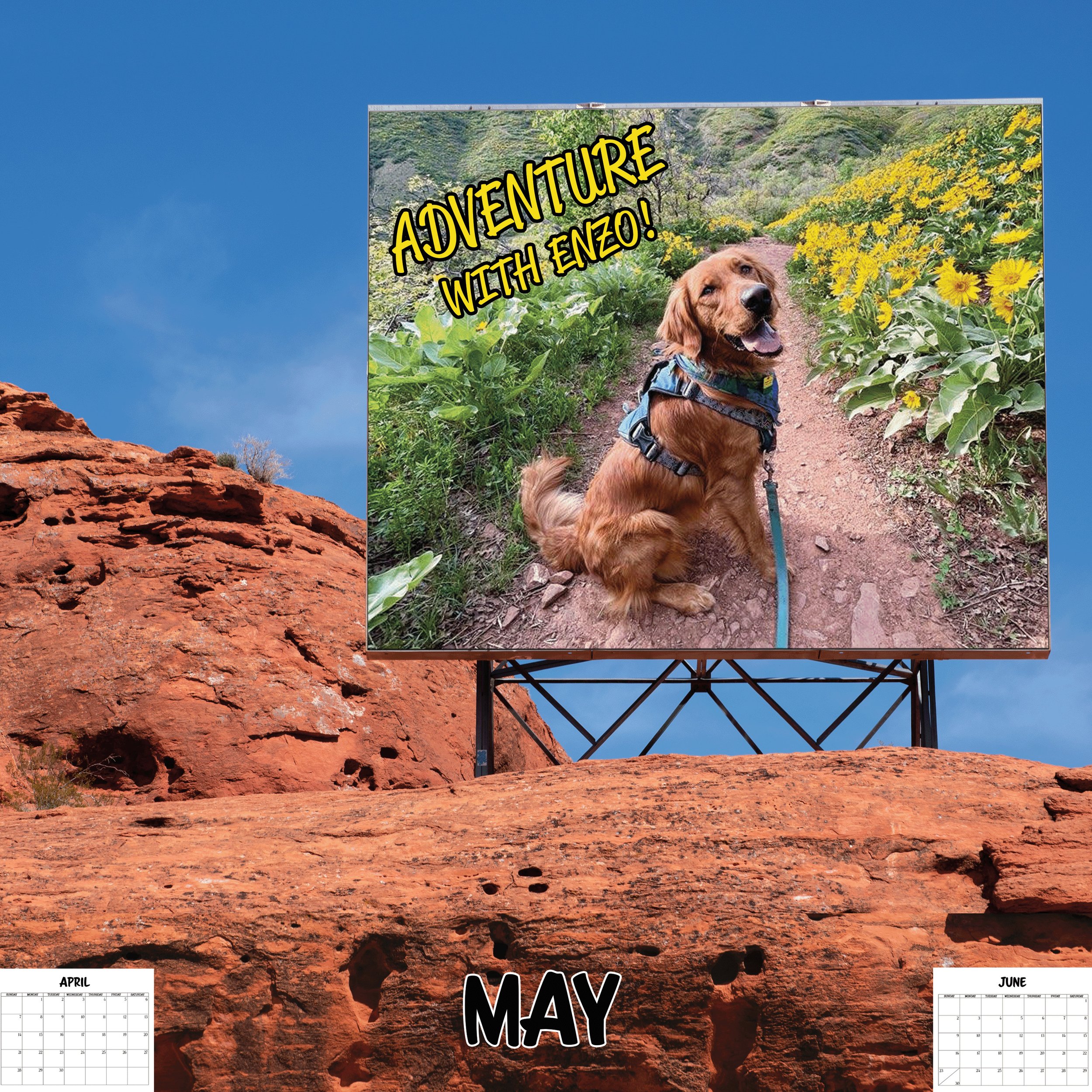 Shop — Companion Golden Retriever Rescue