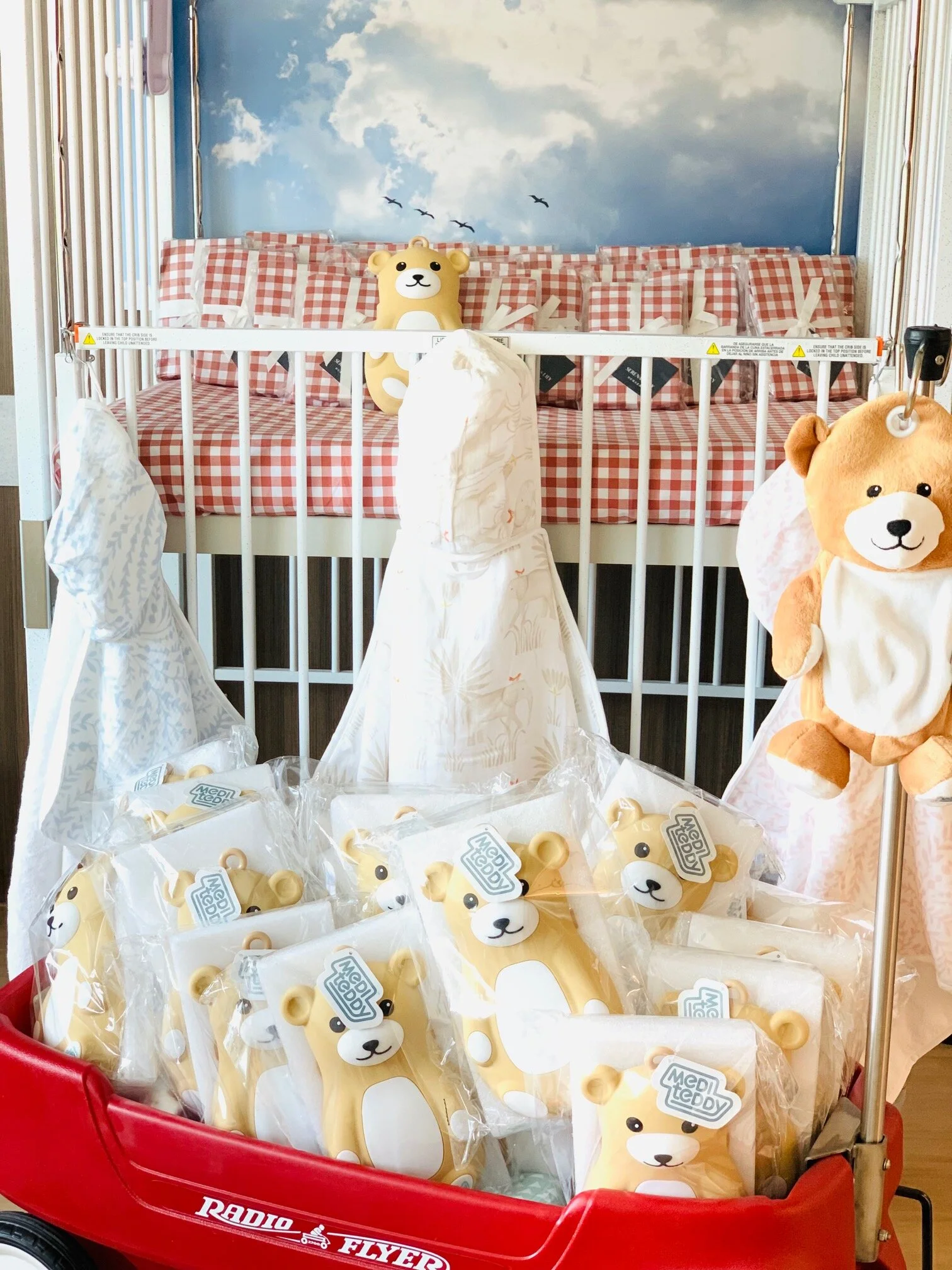 Medi Teddy Home