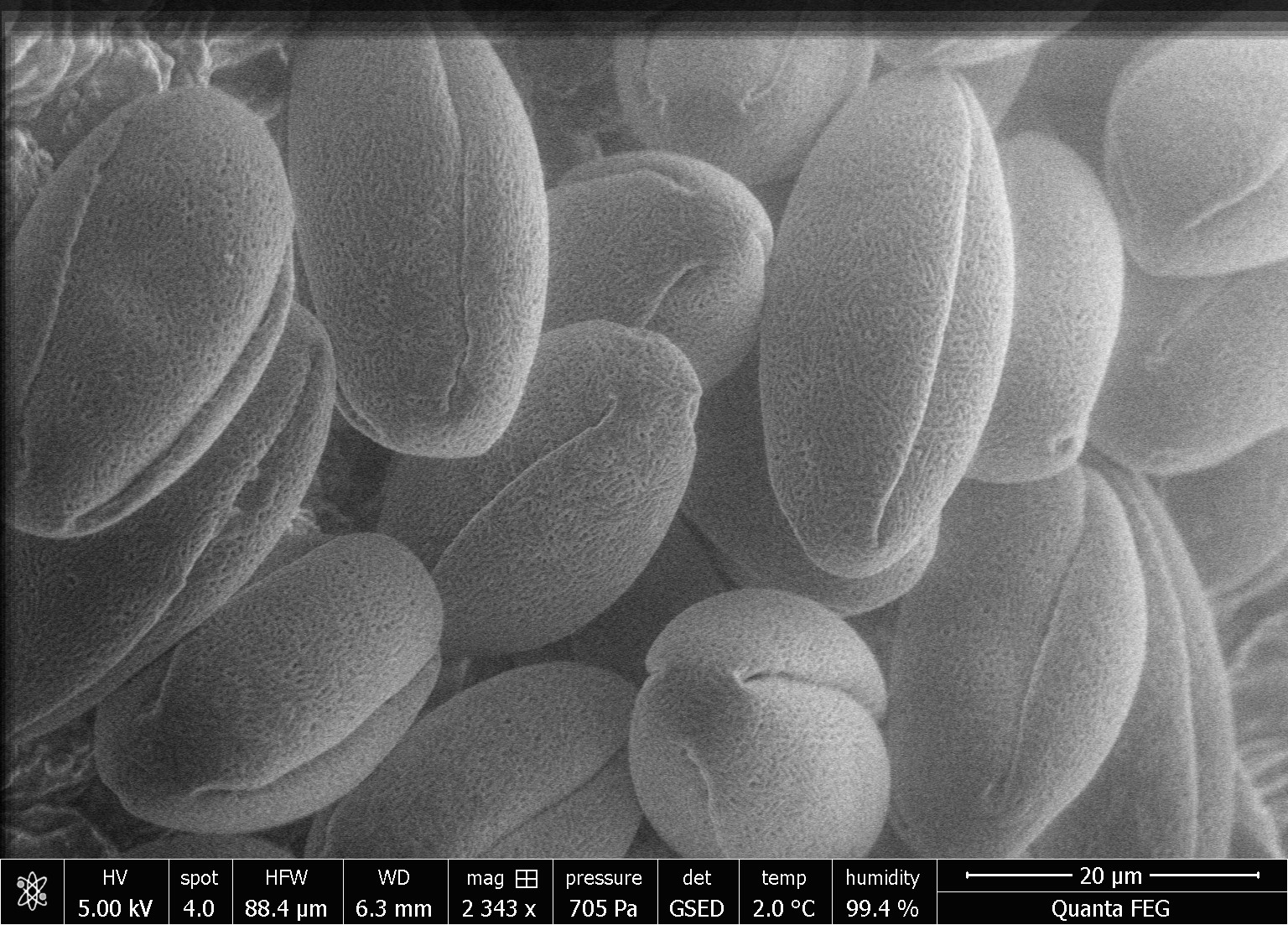 MCAT Scientific Solutions - Gallery