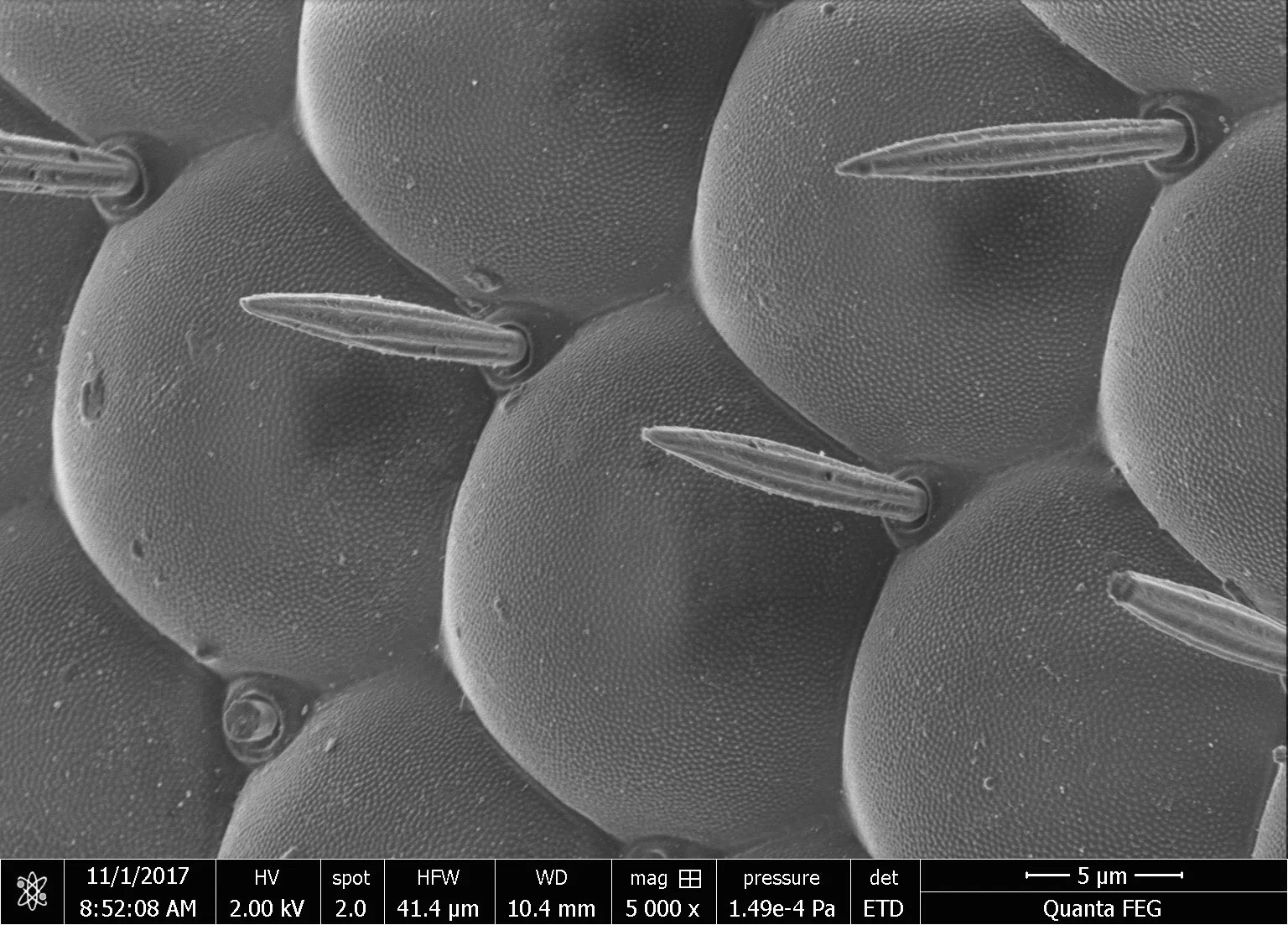 MCAT Scientific Solutions