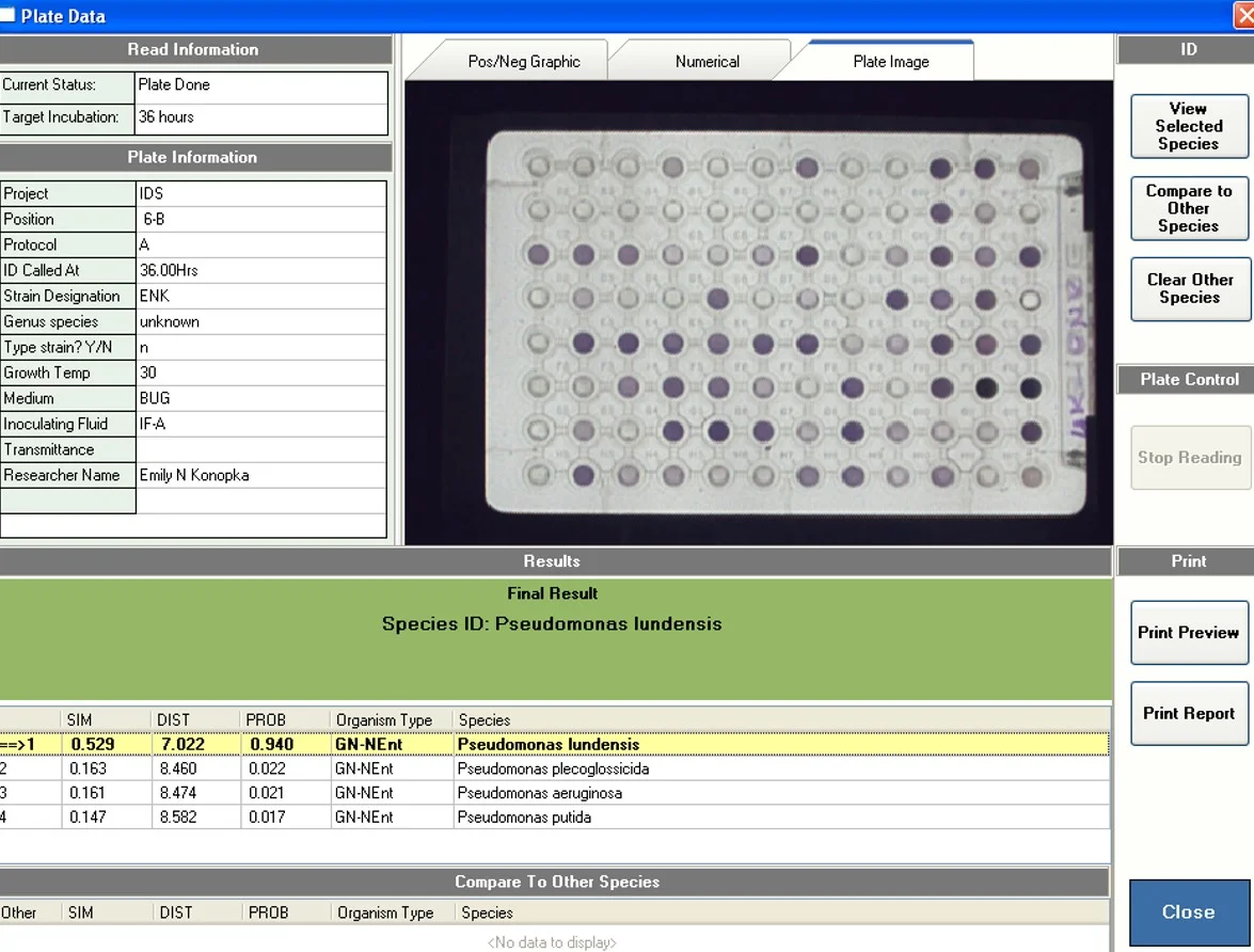 NovelMicrobe.com