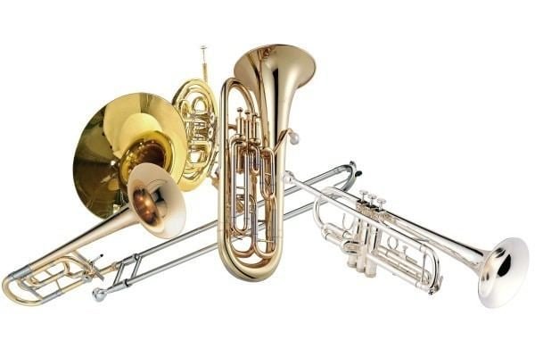 HSO Music In the Vines @ Marked Tree Vineyard — Hendersonville Symphony