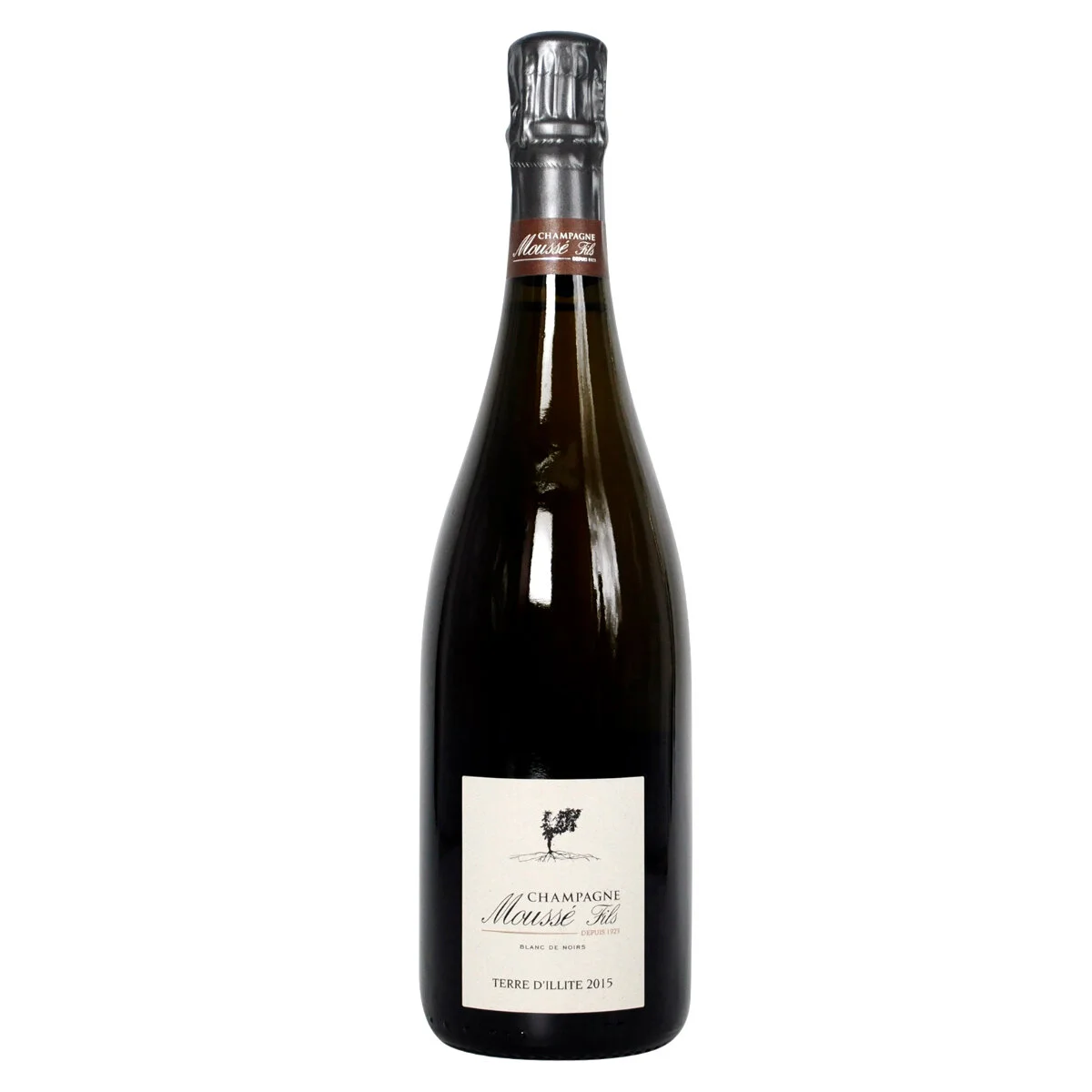 Champagne Mousse Fils Terre d'Illite Blanc de Noirs Brut 2015 - Bt — Vynluna Wines
