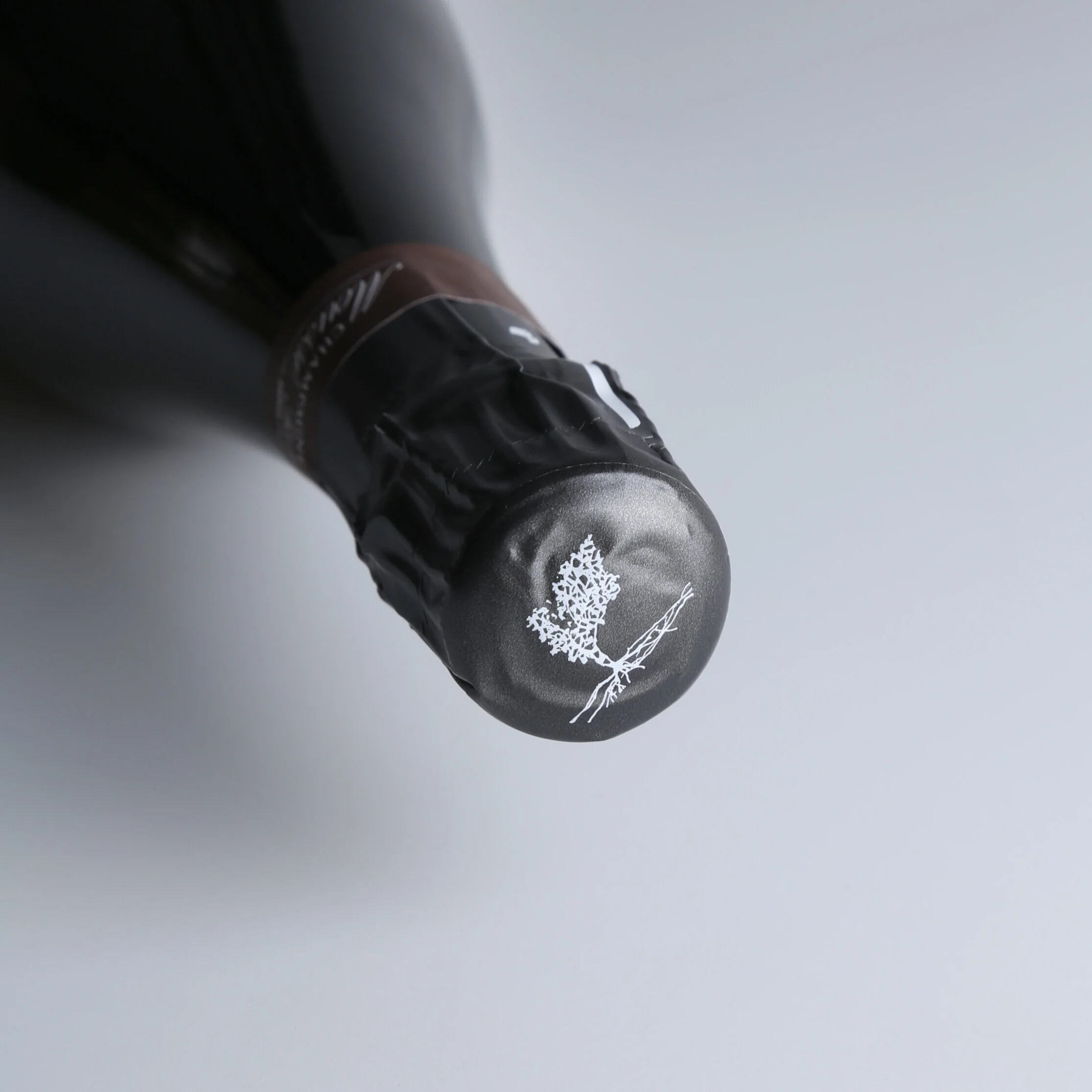 Champagne Moussé Fils — Vynluna Wines