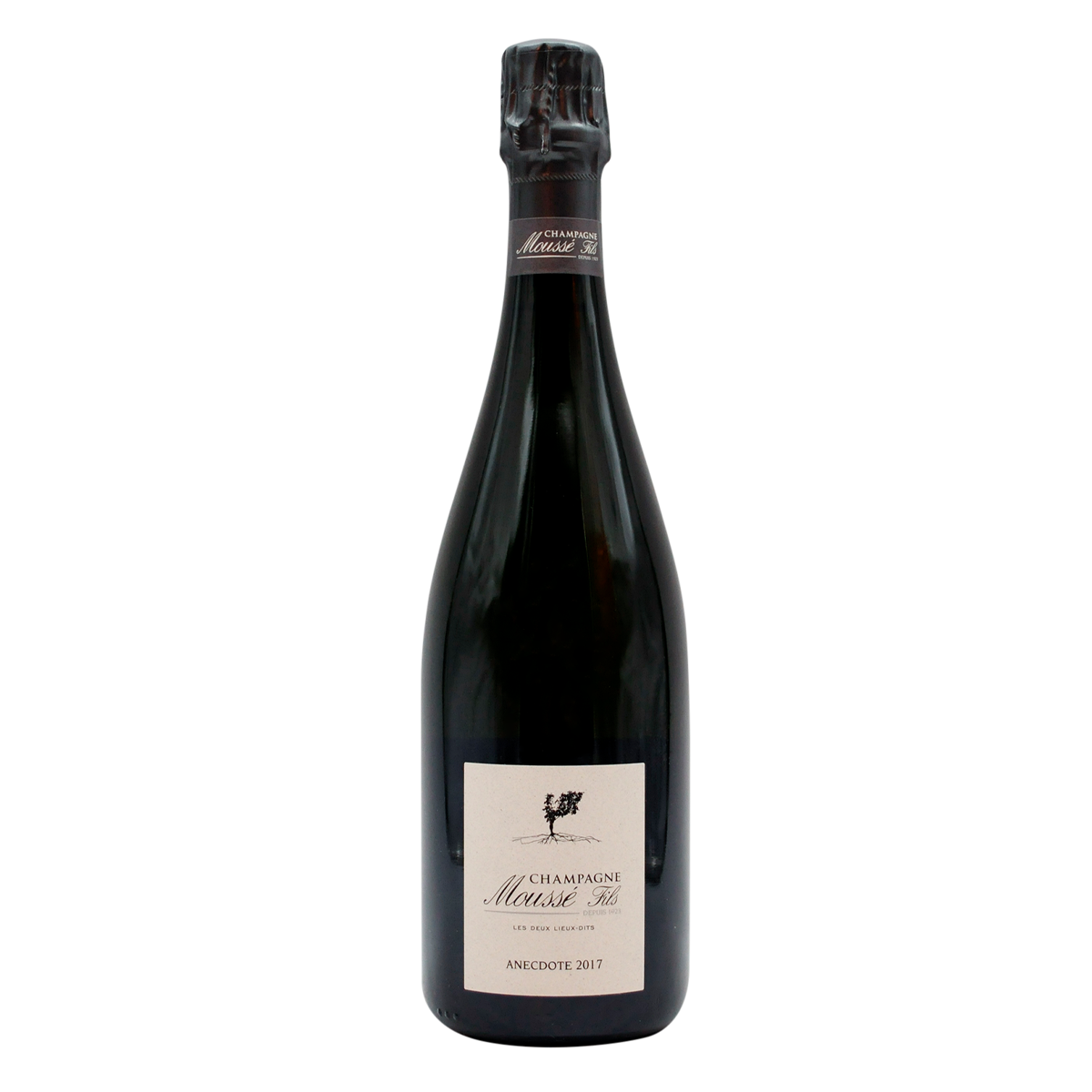 Champagne / Sparkling — Vynluna Wines