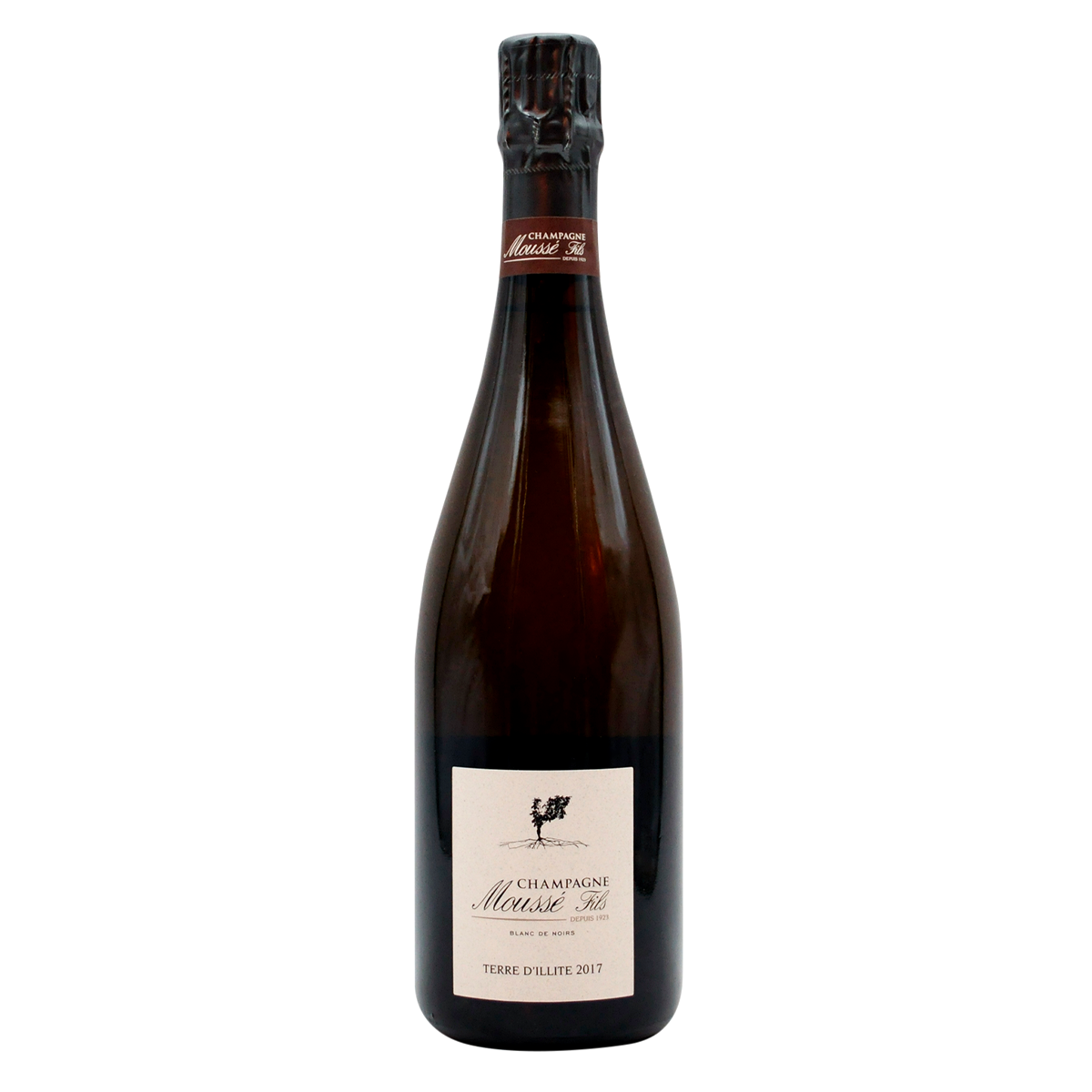 Champagne Mousse Fils Terre d'Illite Blanc de Noirs Brut 2017 - Bt | RP92 — Vynluna Wines
