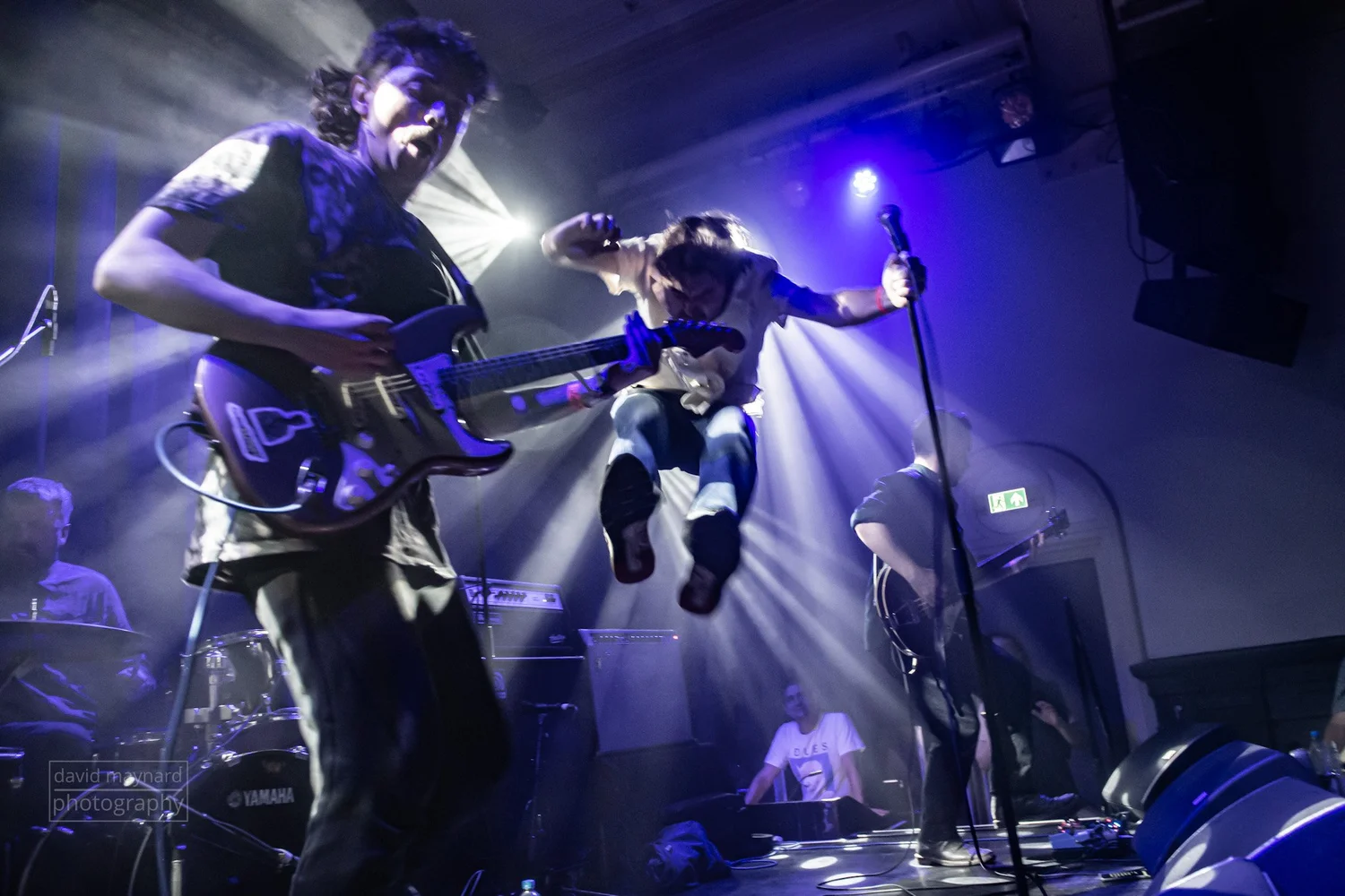 david maynard photography