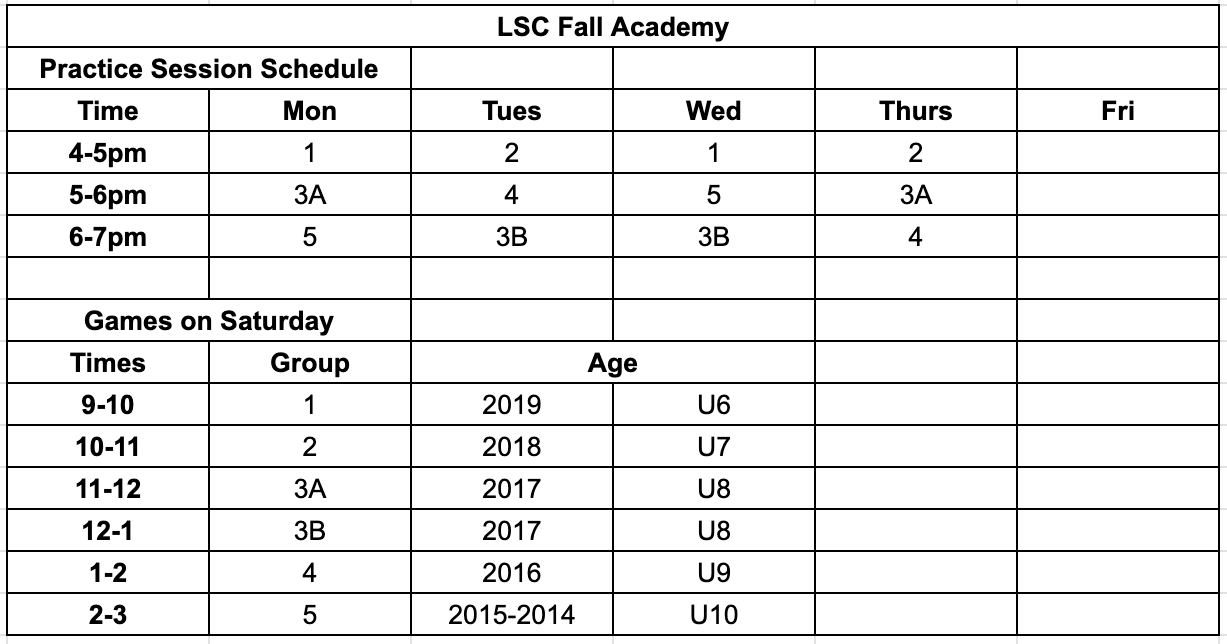 Fall Academy Program — LSC Soccer Club
