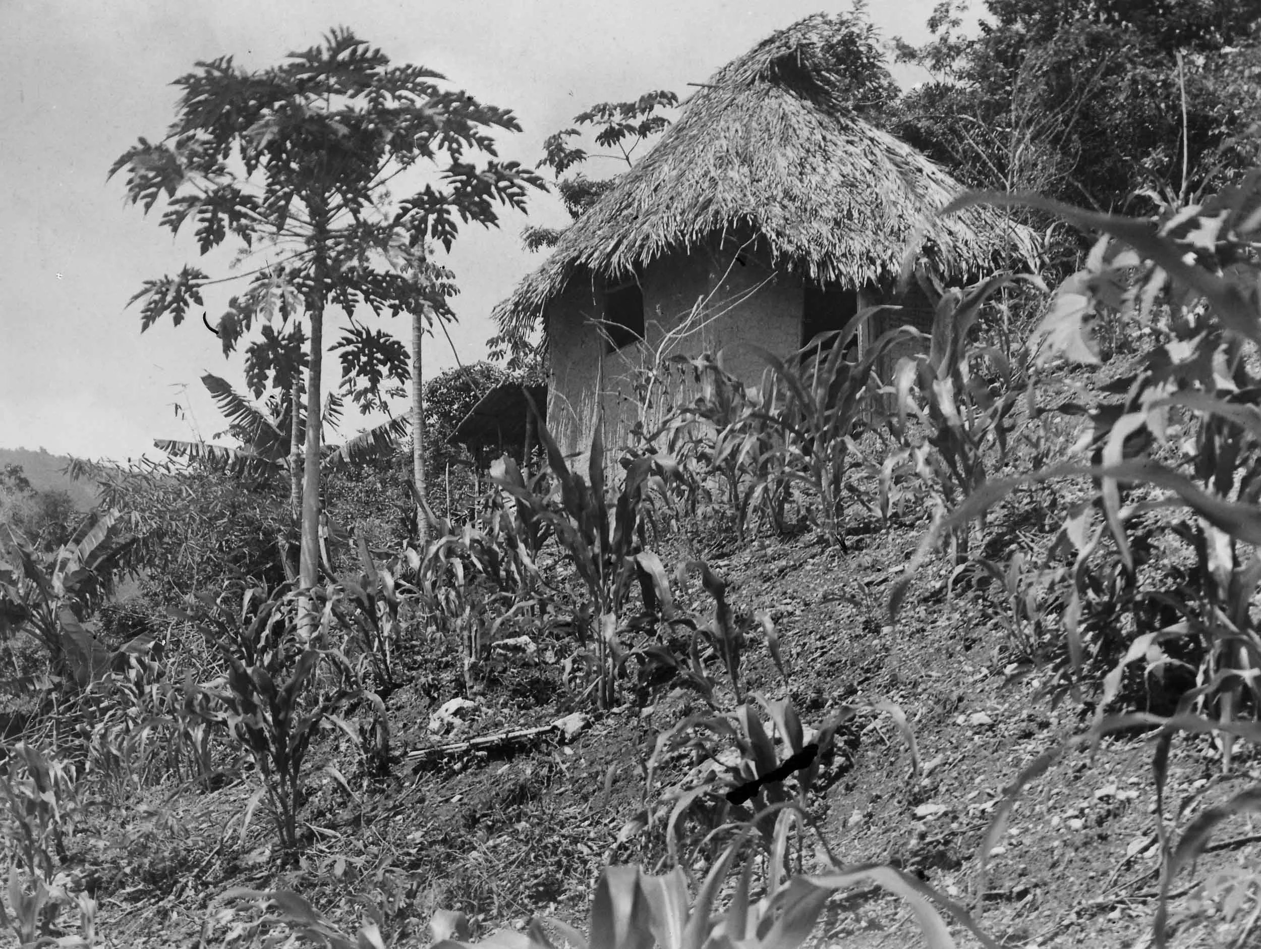 Photos of Hugh — Hugh Stollmeyer