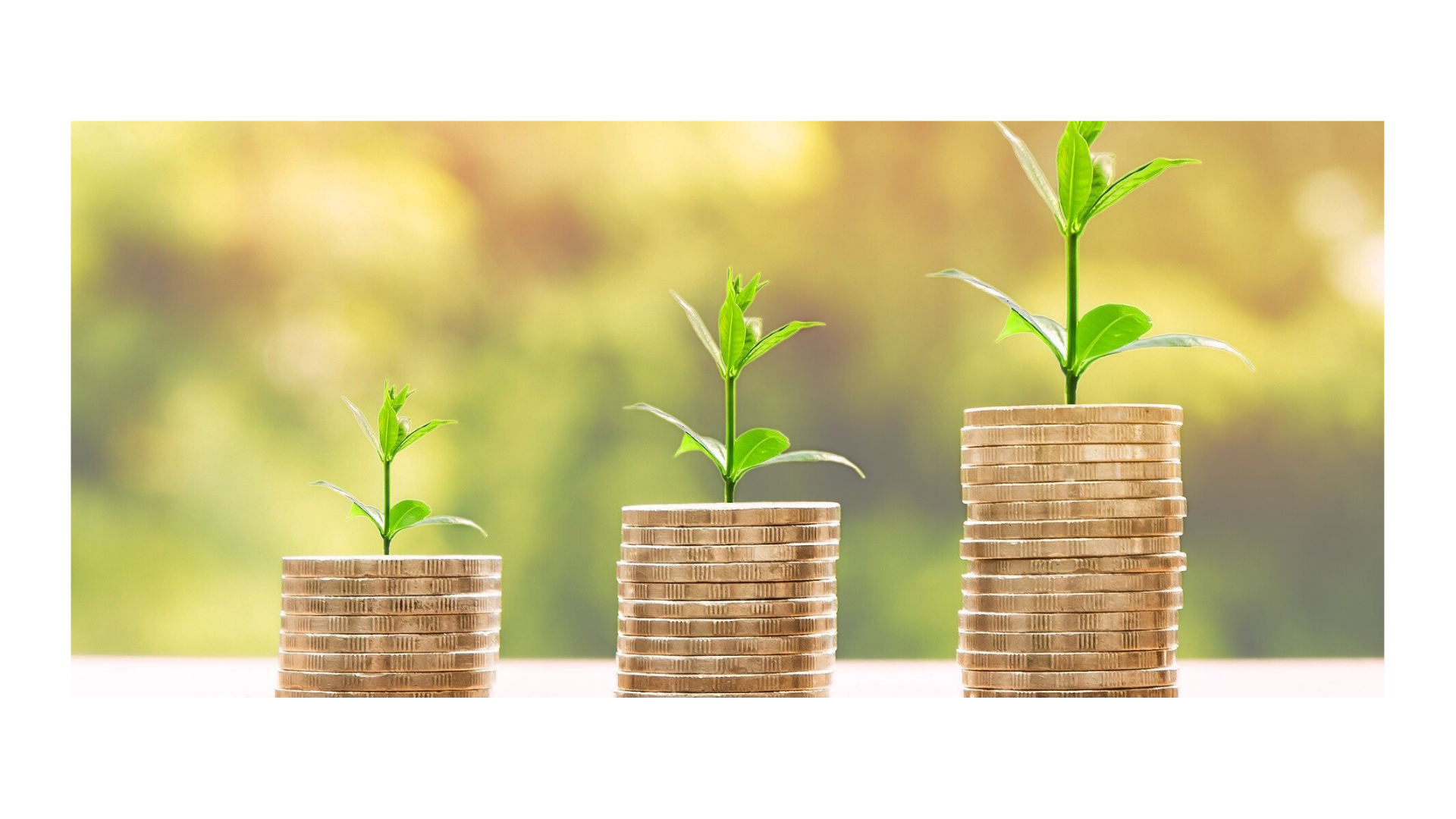 CAL Financial Services