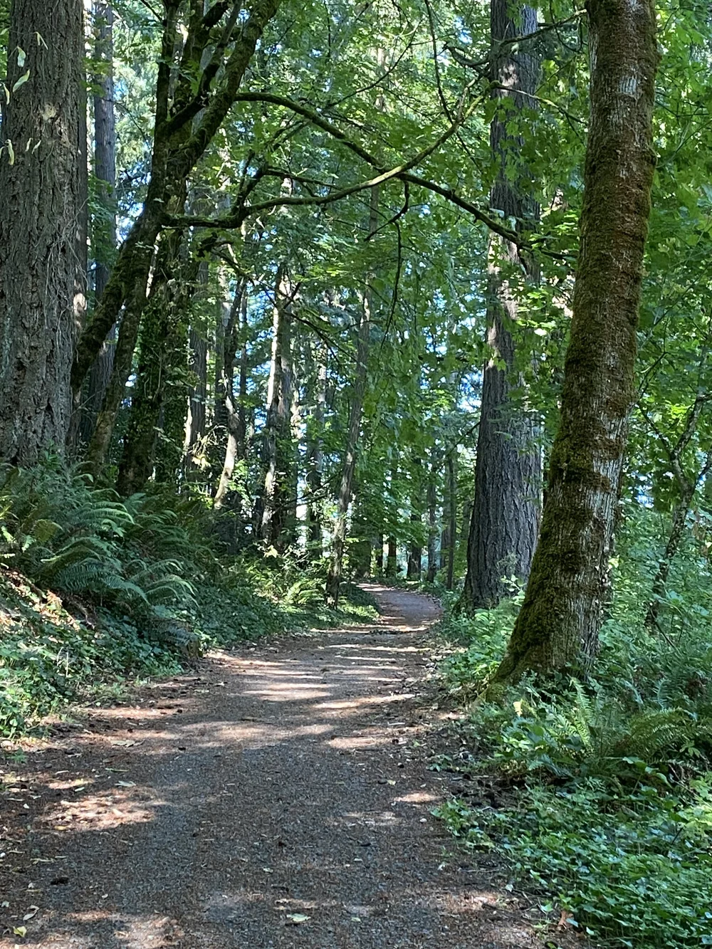 18 - Permanent Electronic Meetings — Oregon Al-Anon/Alateen