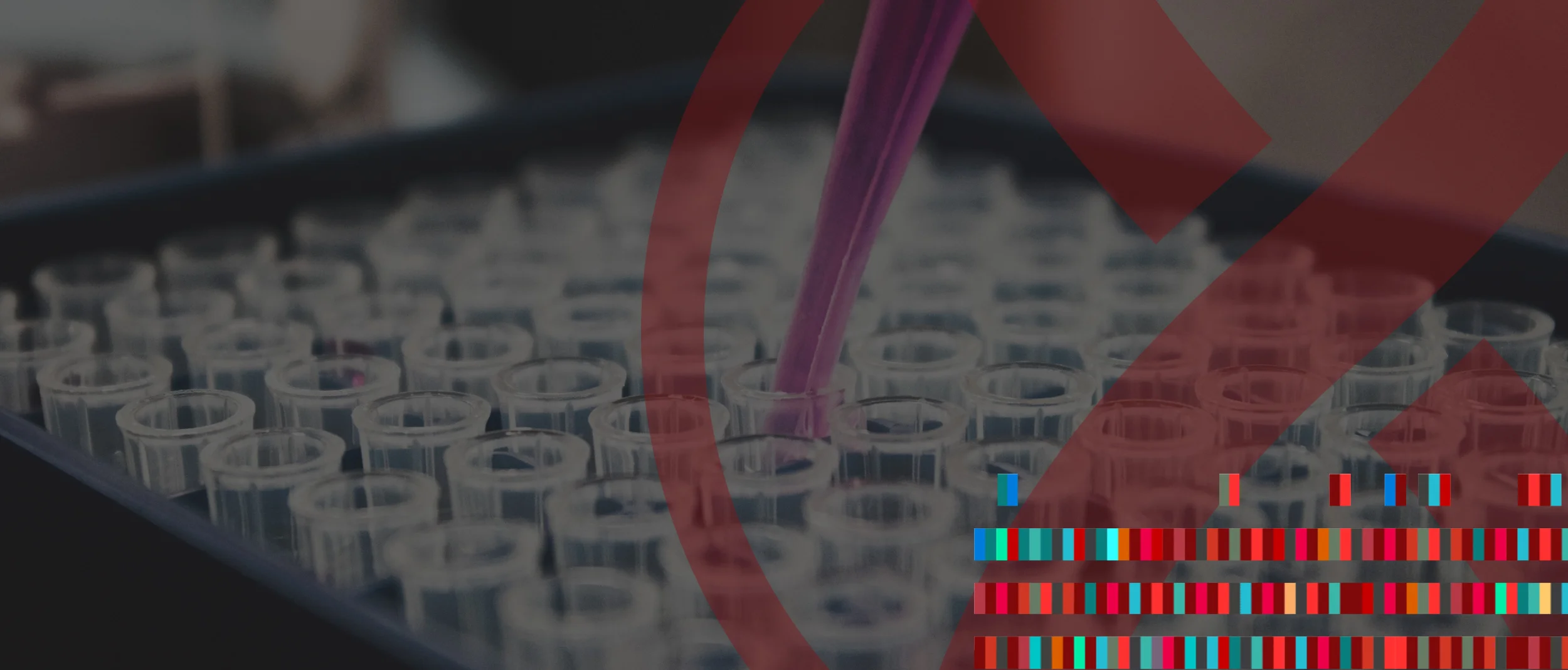 RUNX1 Research Program - One Goal. Prevent Cancer.