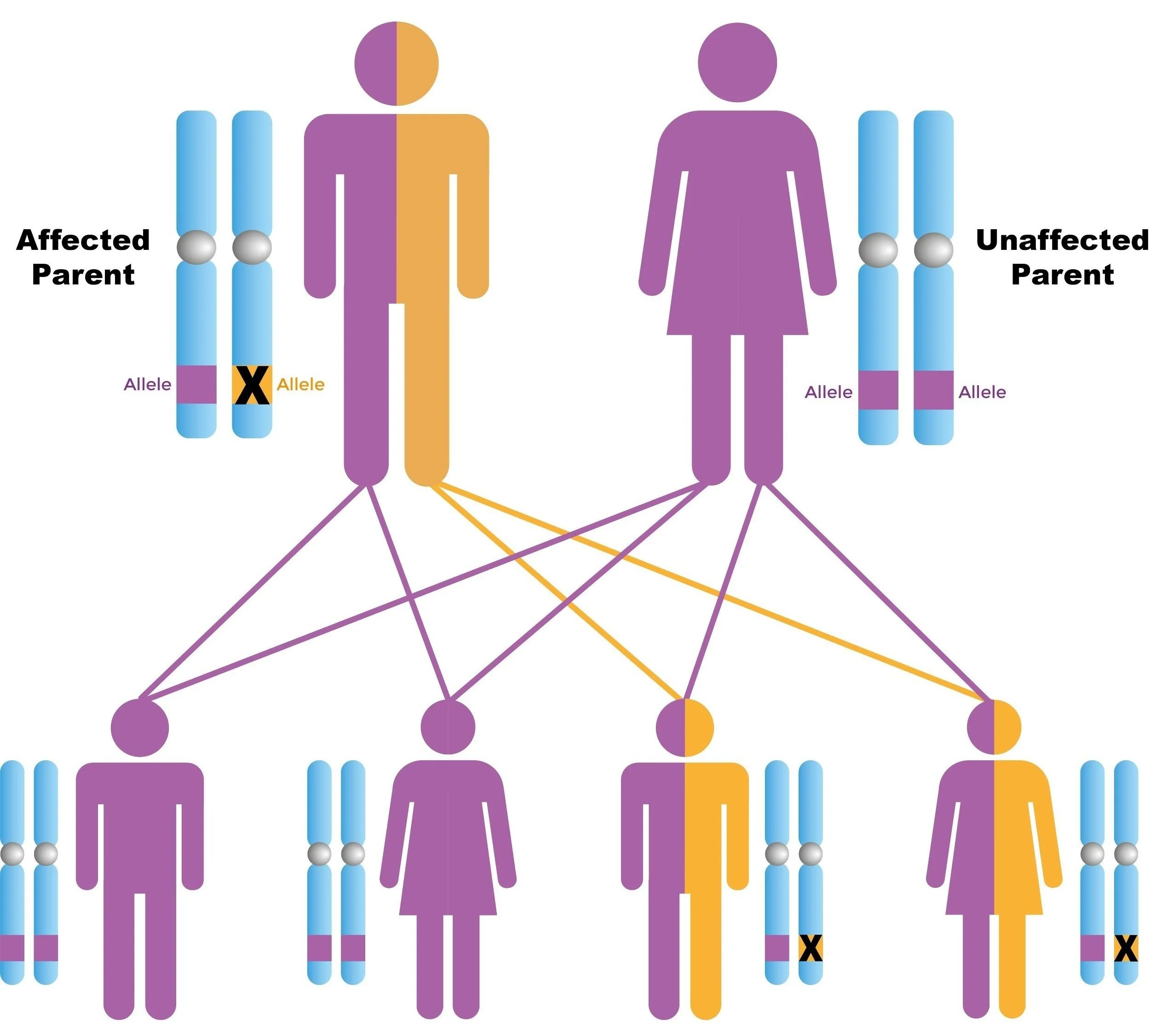 RUNX1 Research Program - Knowledge Is Power