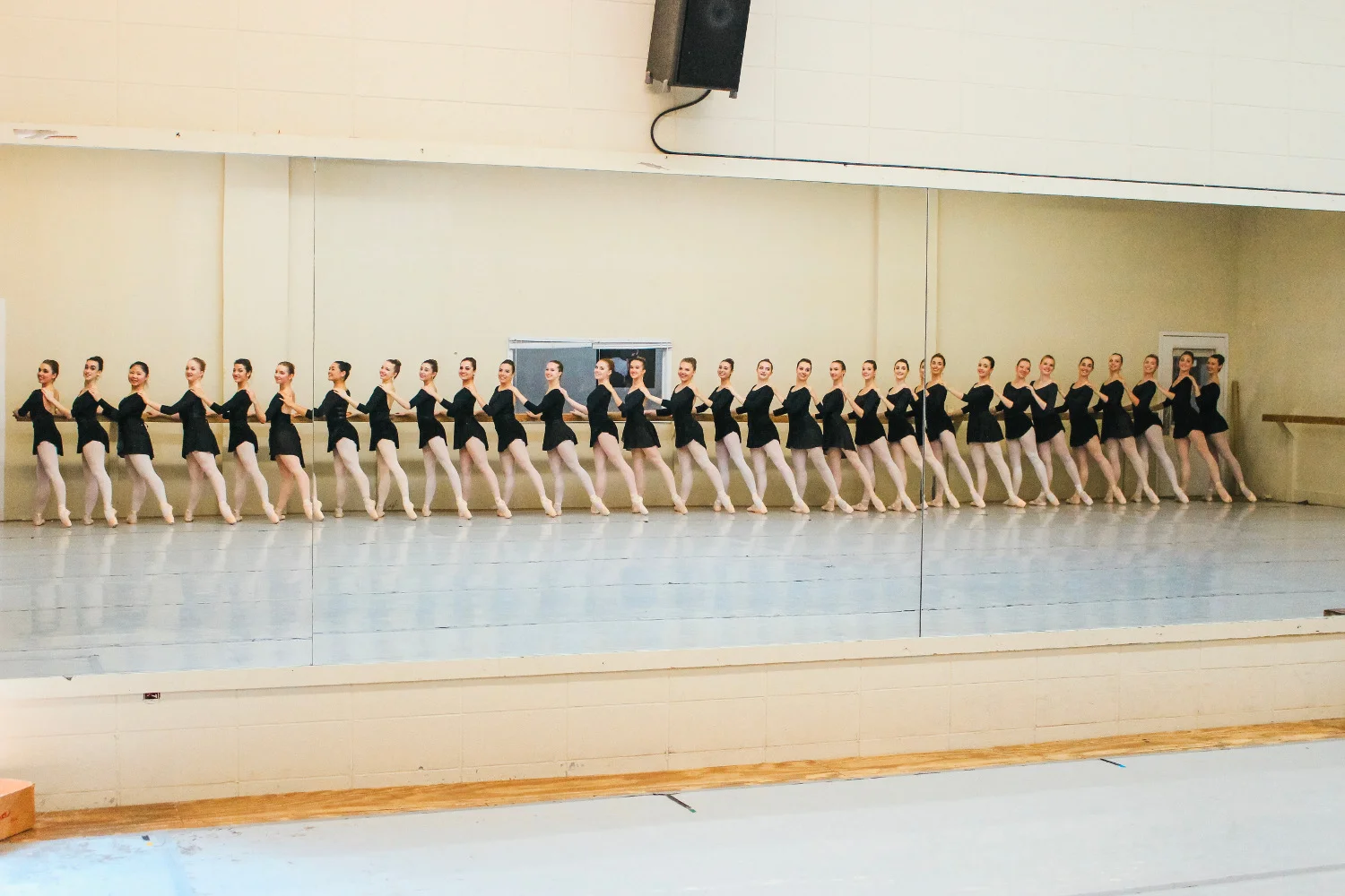 The Program — Ballet Magnificat!
