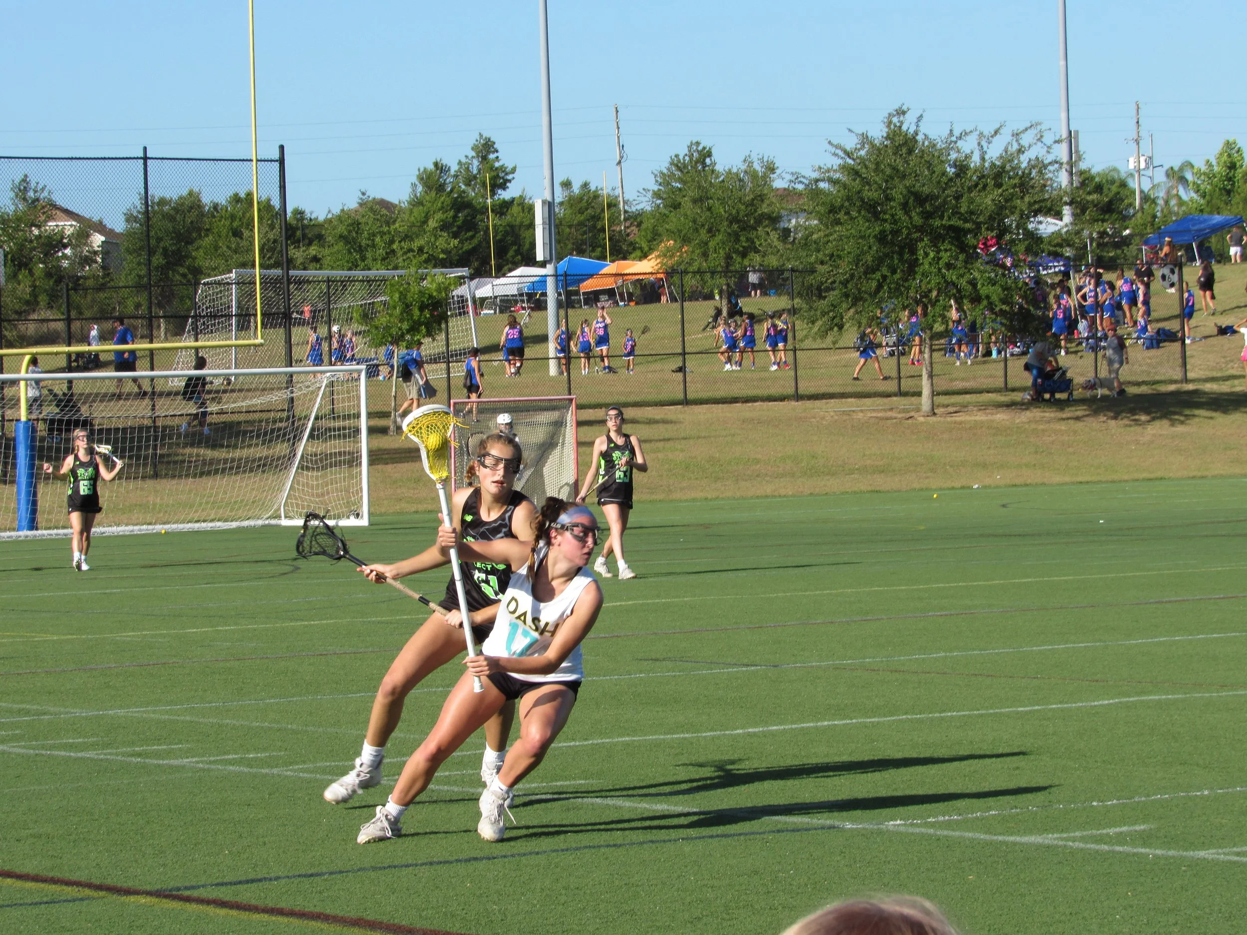 Verificacao De Lacrosse