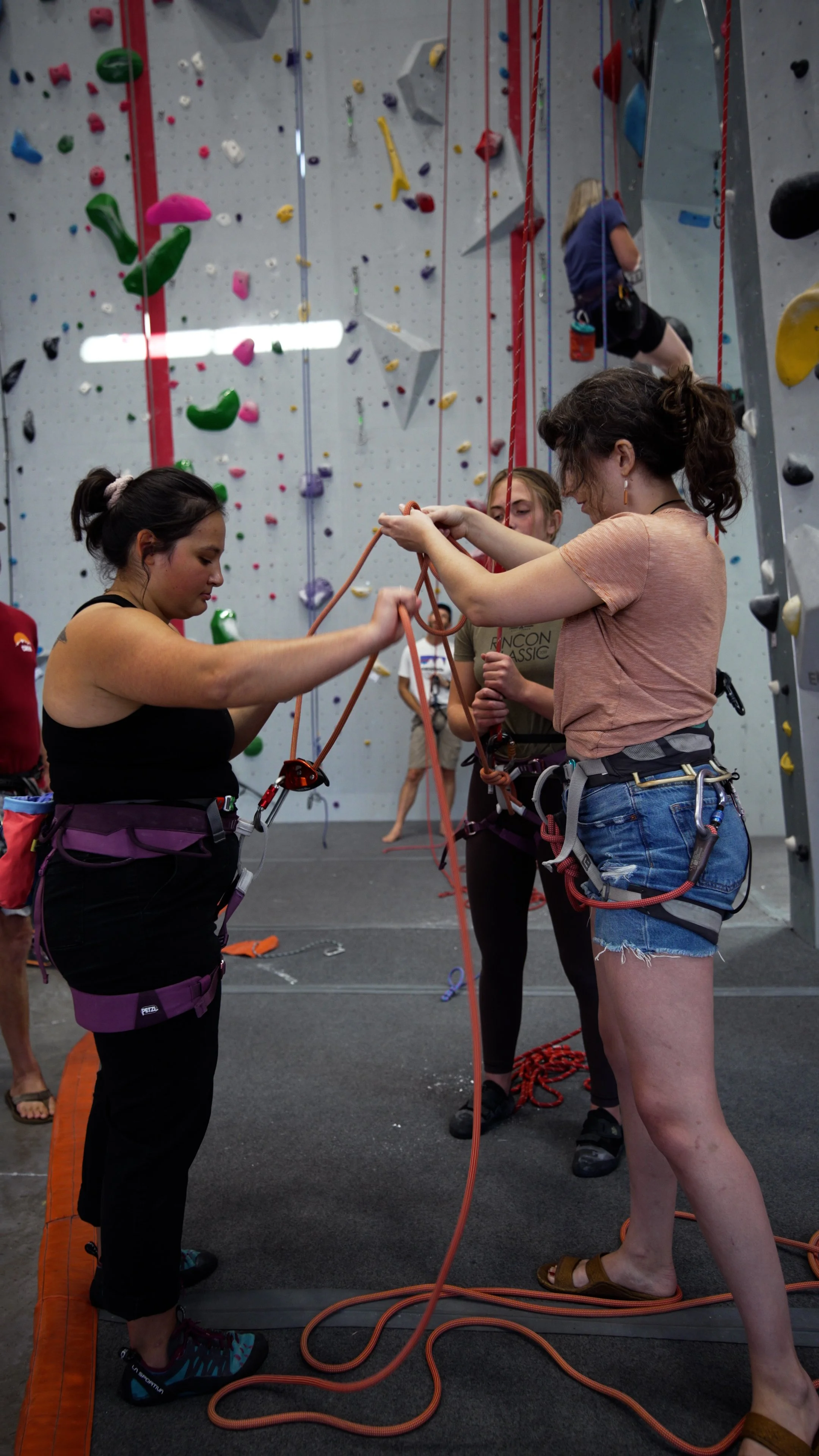 Climbing Classes — The Commons Climbing Gym