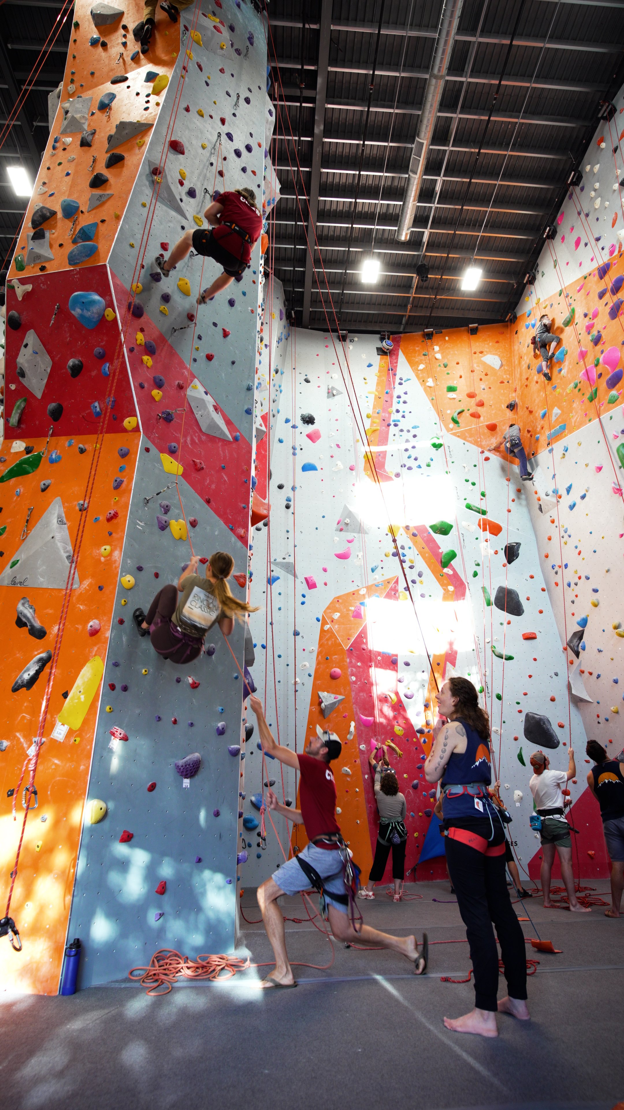 Climbing Classes — The Commons Climbing Gym