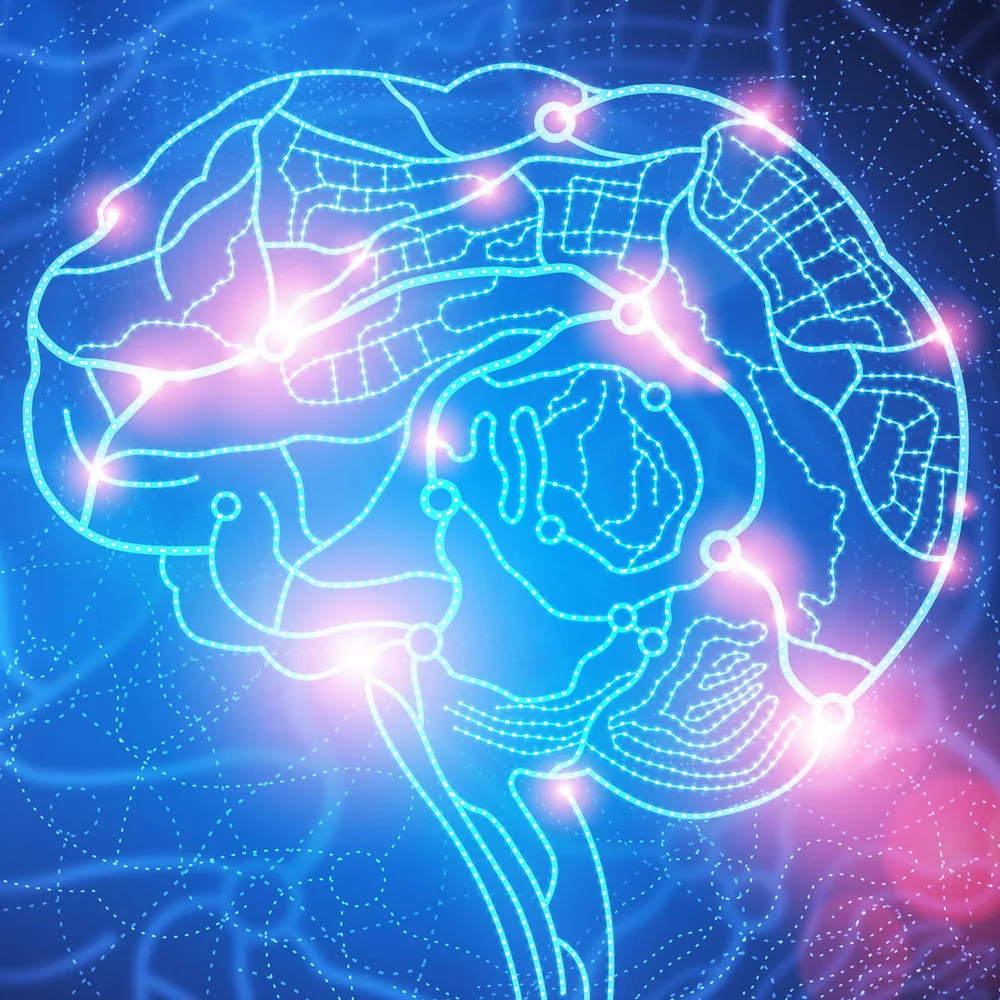 About BrainMind — BrainMind