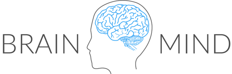 Application — BrainMind