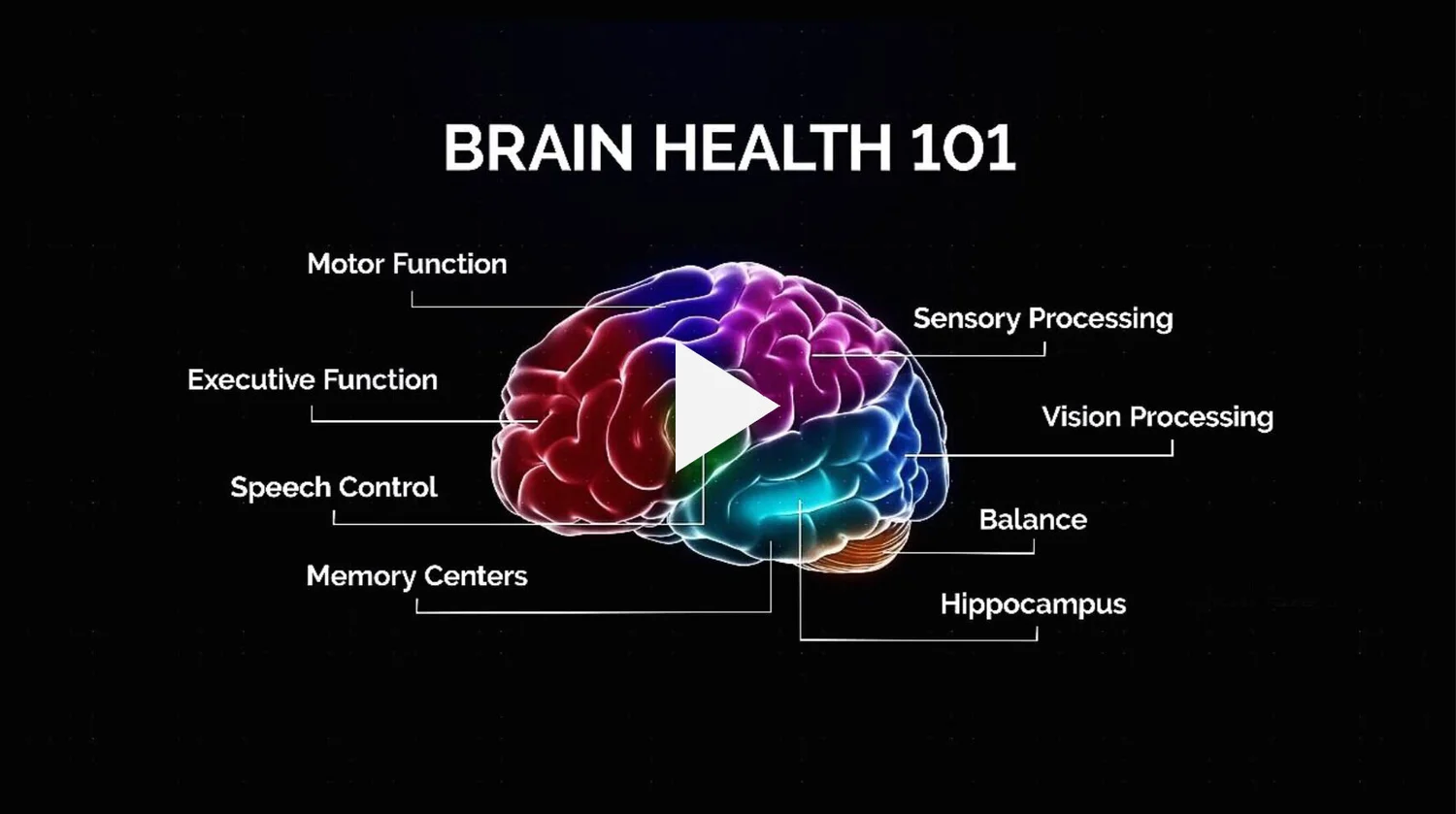 Alzheimers — BrainMind