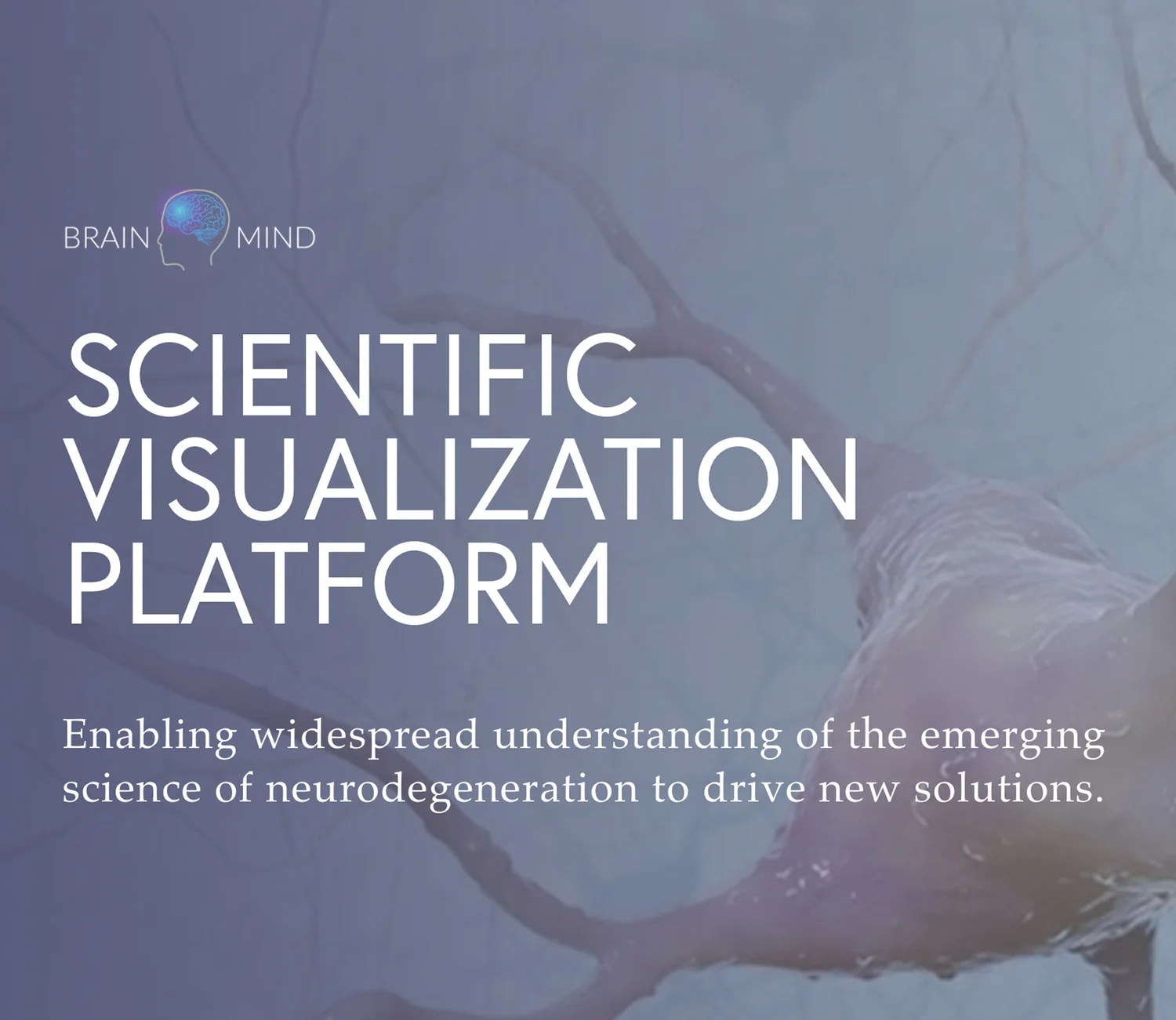 Education — BrainMind