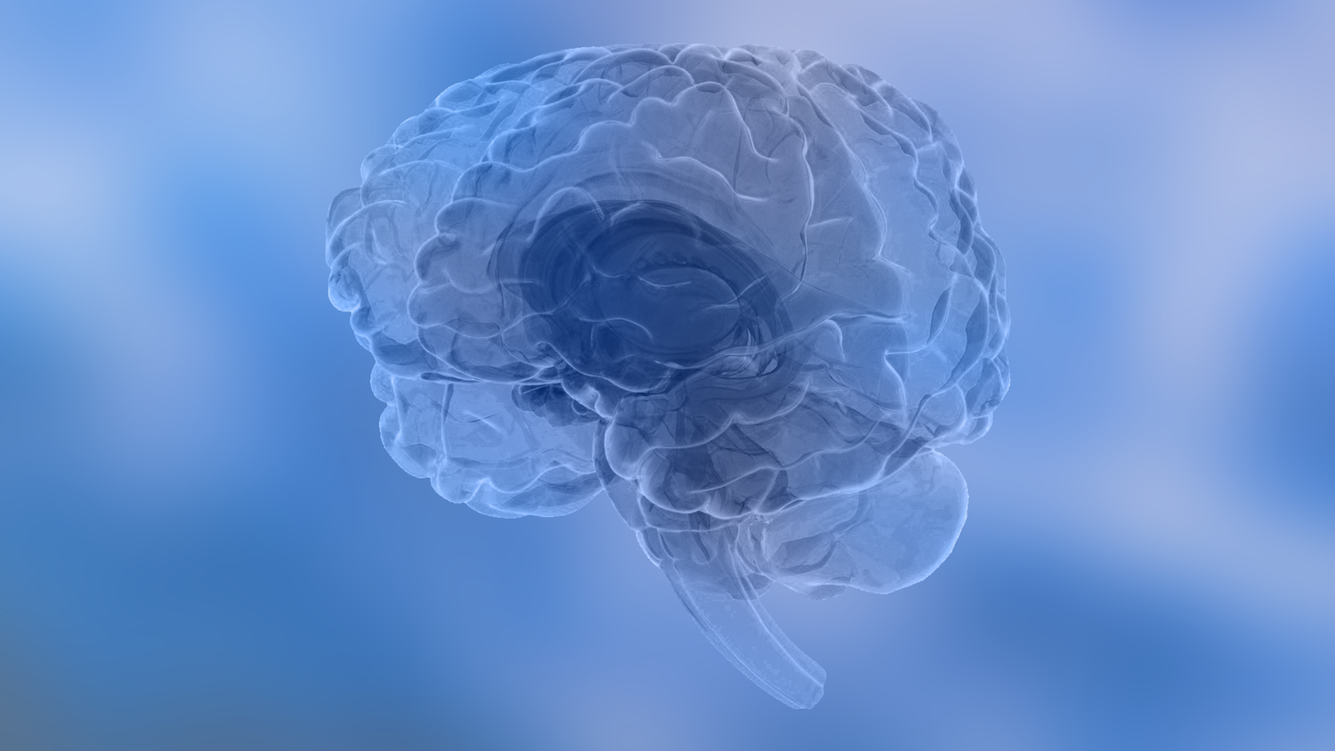 Brain Anatomy Visualizations Library — BrainMind