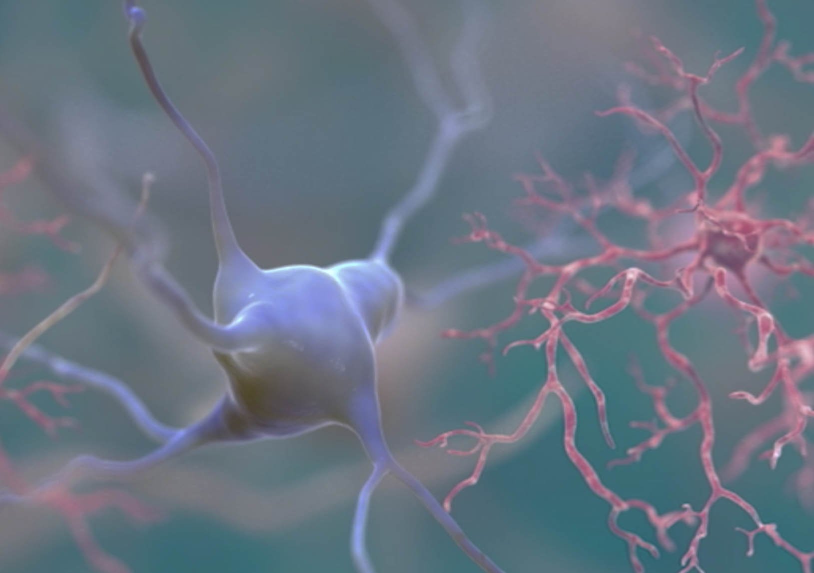 Summit — BrainMind