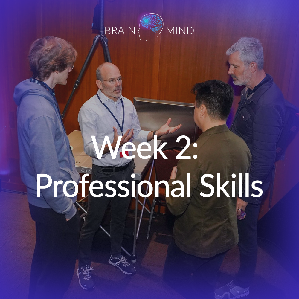 Internship — BrainMind