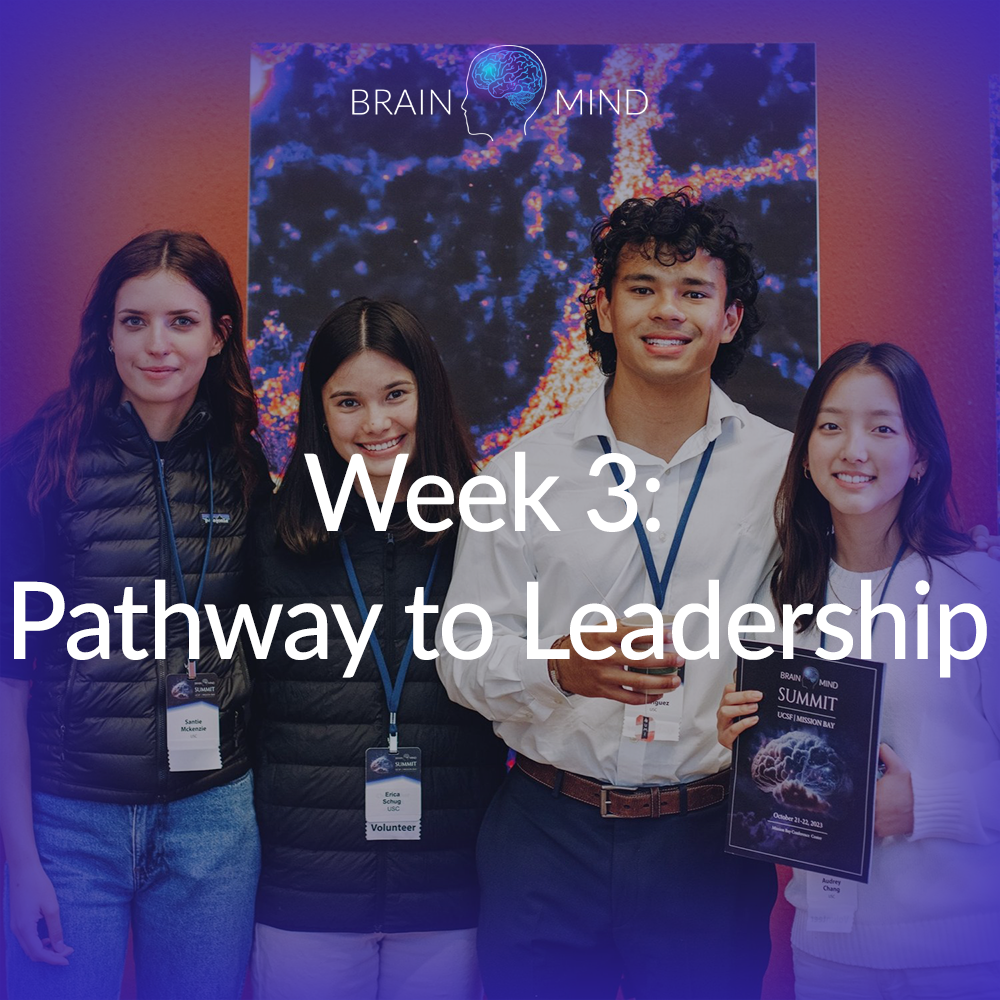 Internship — BrainMind