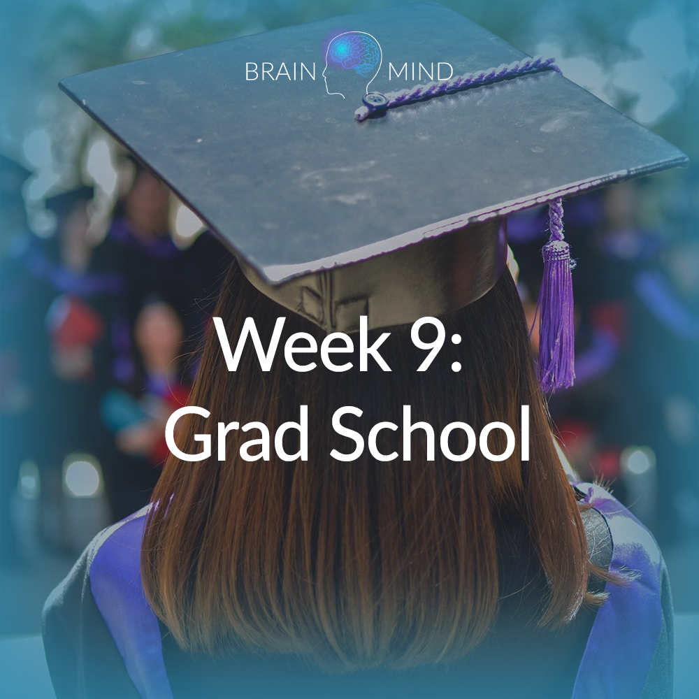 Internship — BrainMind