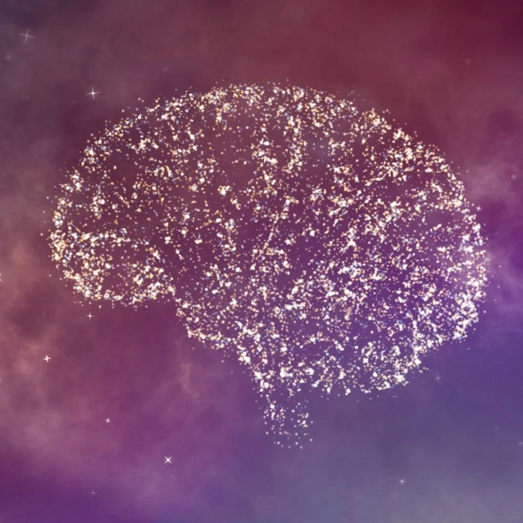 Gatherings — BrainMind