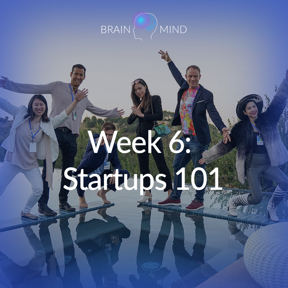 Internship — BrainMind