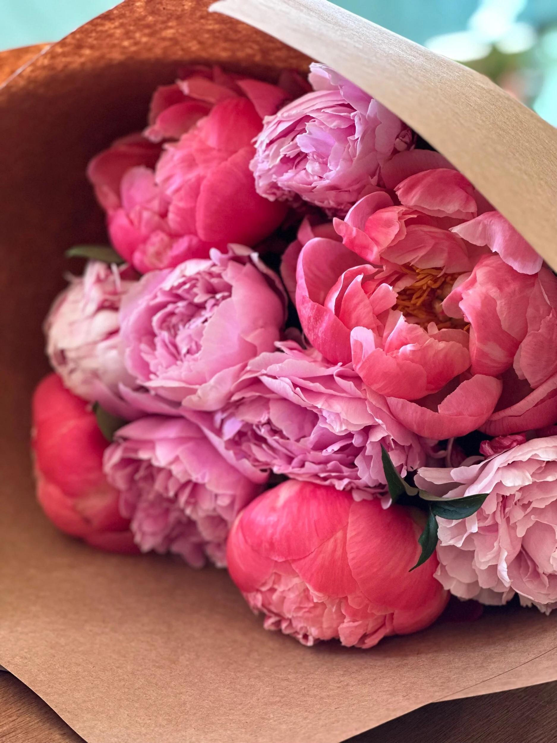 Kapiti Bouquet / Paraparaumu florist / Local delivery | Kapiti Florist ...