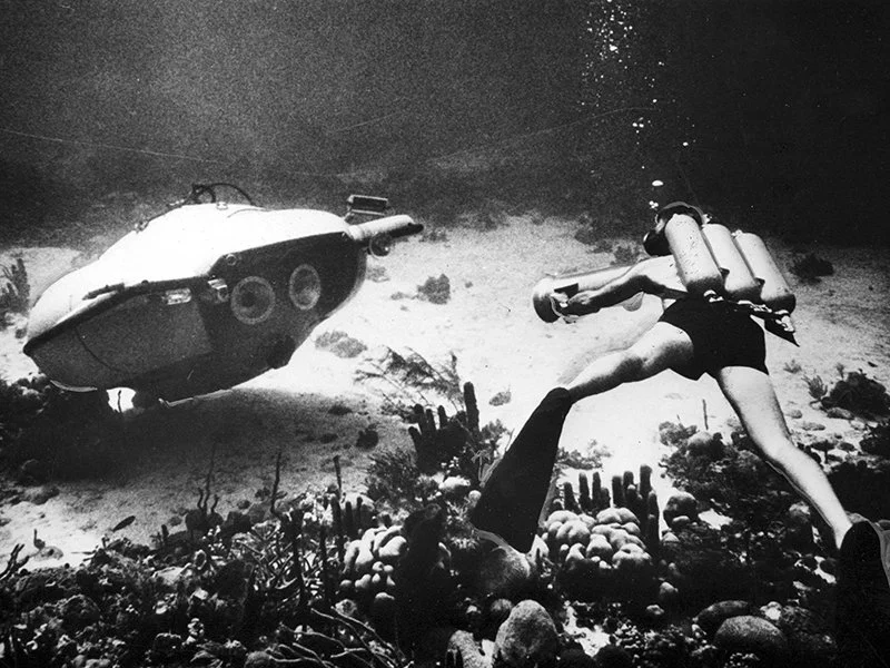 Most Recognizable Dive Watches | DIY Watch Club