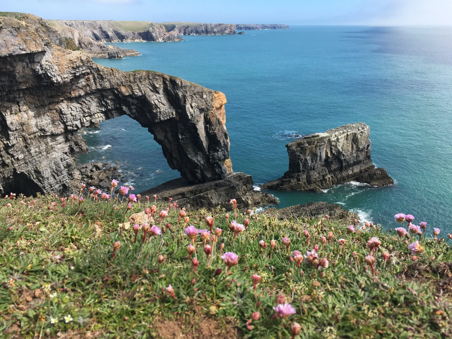 Wild Trails Wales Guide: Hiking the Wales Coast Path — Wild Trails Wales