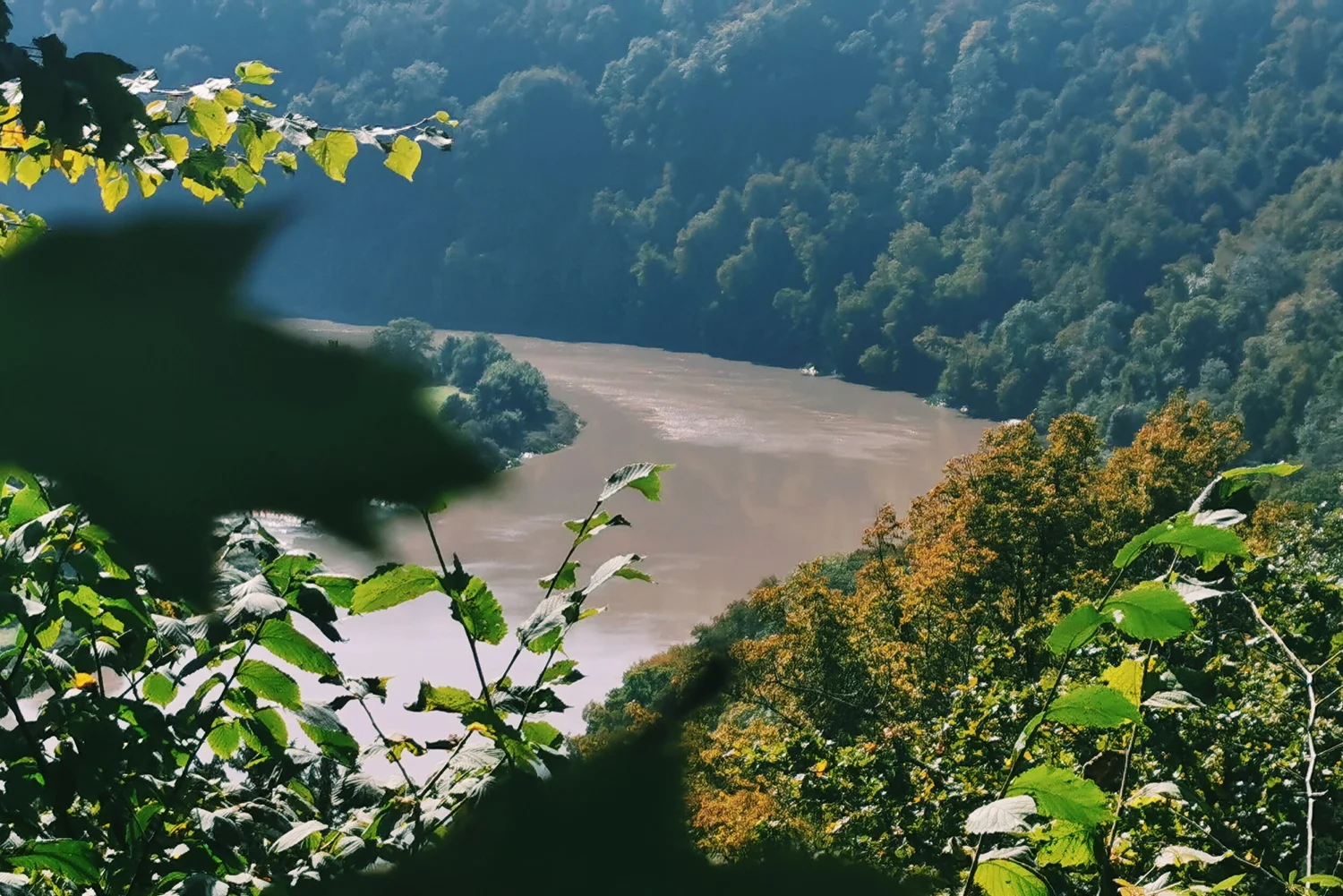 Wye Valley Walk: Chepstow to Tintern — Wild Trails Wales