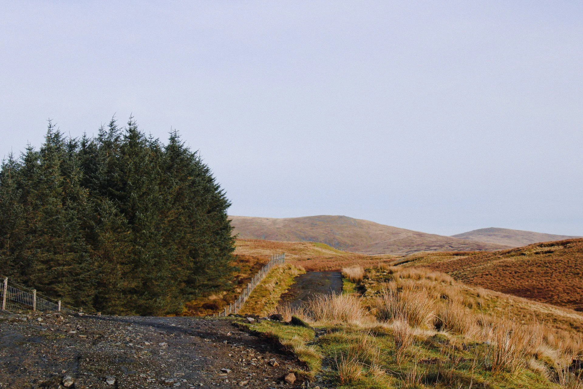 Cambrian Mountains Walk: Pumlumon Southern Circular — Wild Trails Wales