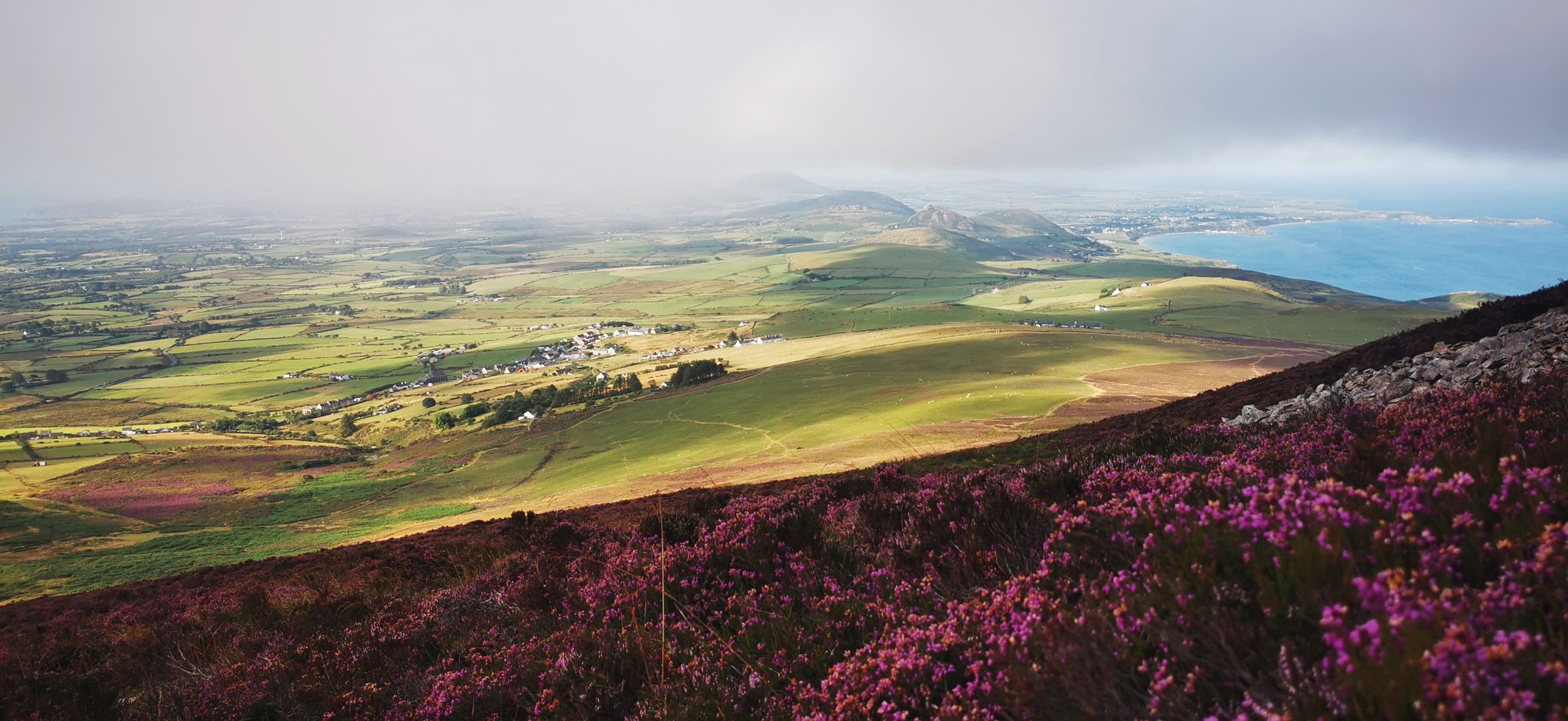 Wild Trails Wales Guide: 7 Walks in Wales to see Heather in Bloom ...