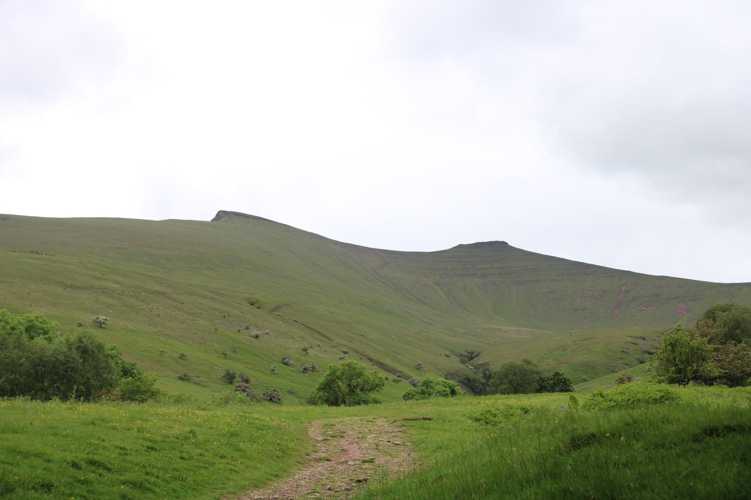 Pen y Fan: Northern Circular with Llyn Cwm Llwch — Wild Trails Wales