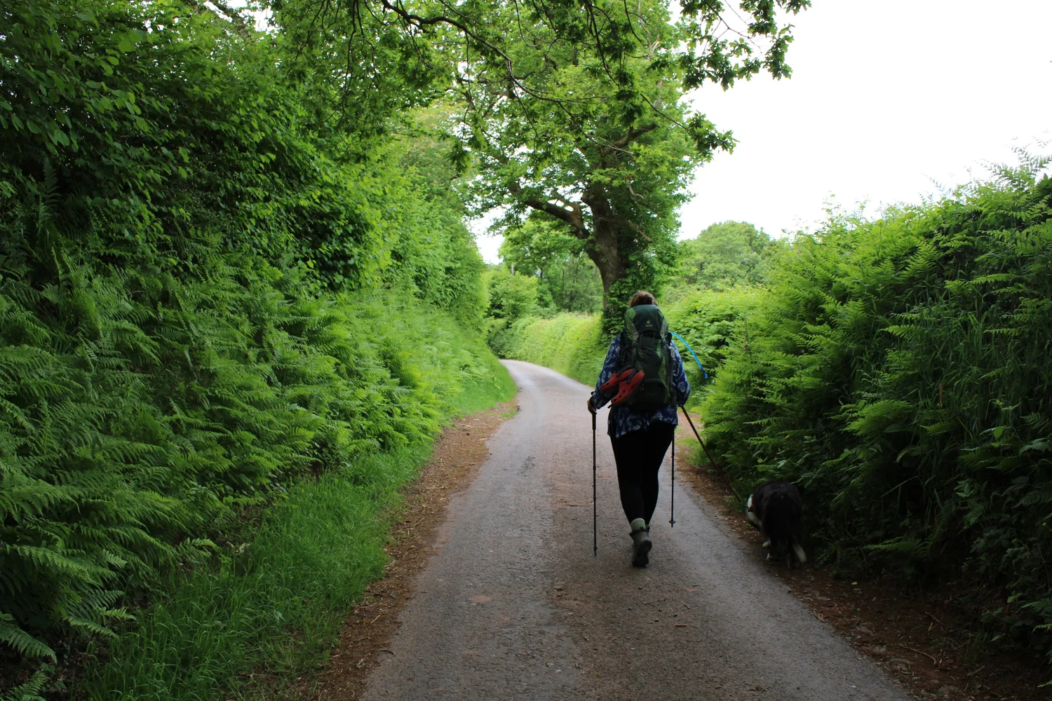 Pen y Fan: Northern Circular with Llyn Cwm Llwch — Wild Trails Wales