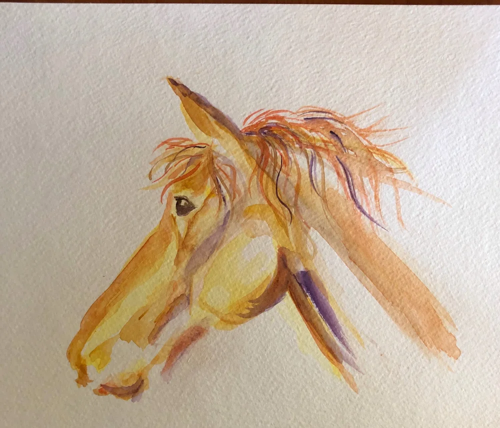 Deborah Peltier Gallery — VWS