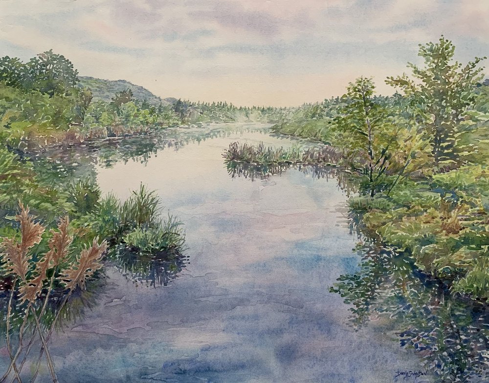 Diane Swanson — VWS