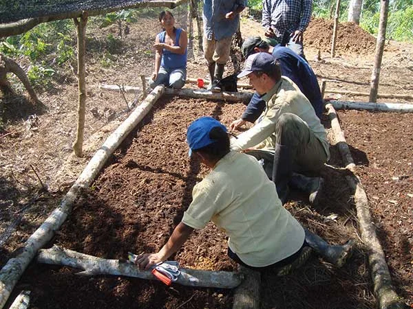 Reforestation projects — ON A MISSION | Restore forests, empower ...