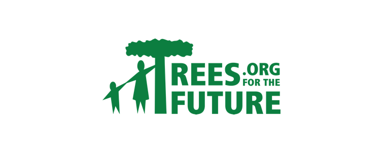 Reforestation projects — ON A MISSION | Restore forests, empower ...