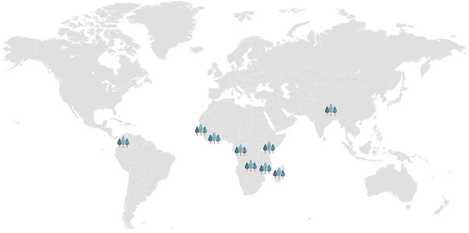 Reforestation projects — ON A MISSION | Restore forests, empower ...