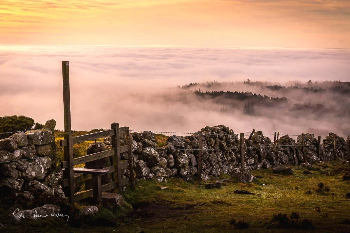Gallery — OLD ORCHARD BARN