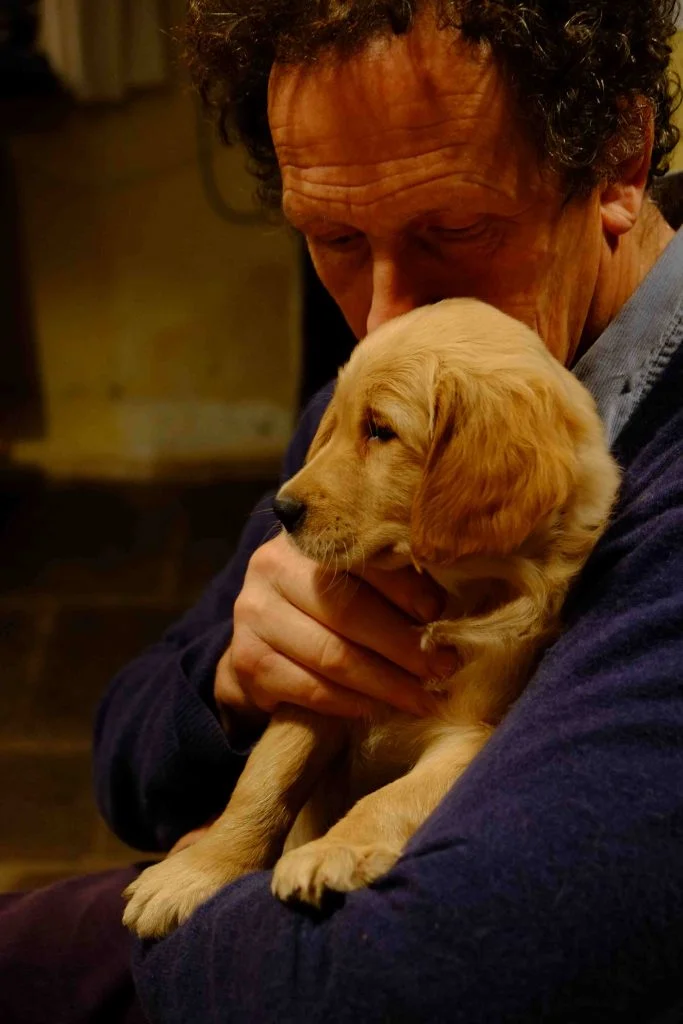 Dogs — Monty Don