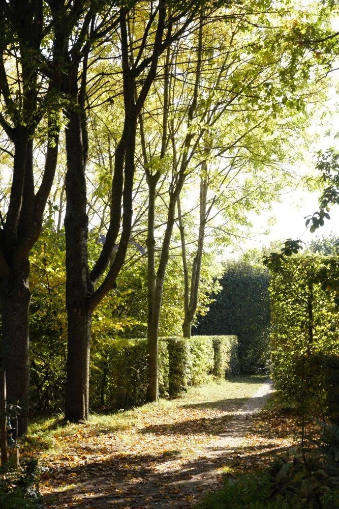 Longmeadow — Monty Don