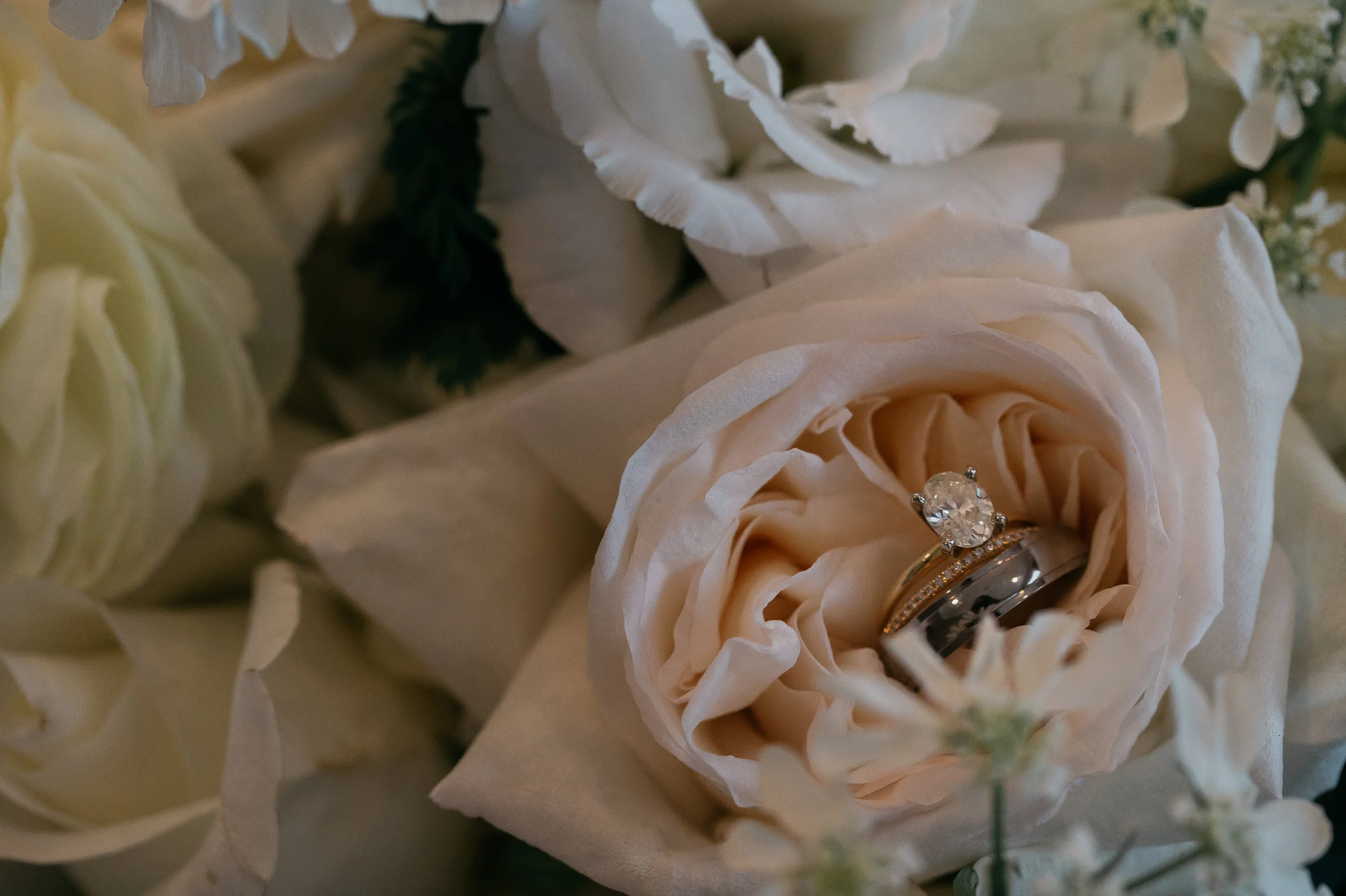 Sheryl Finney Photography